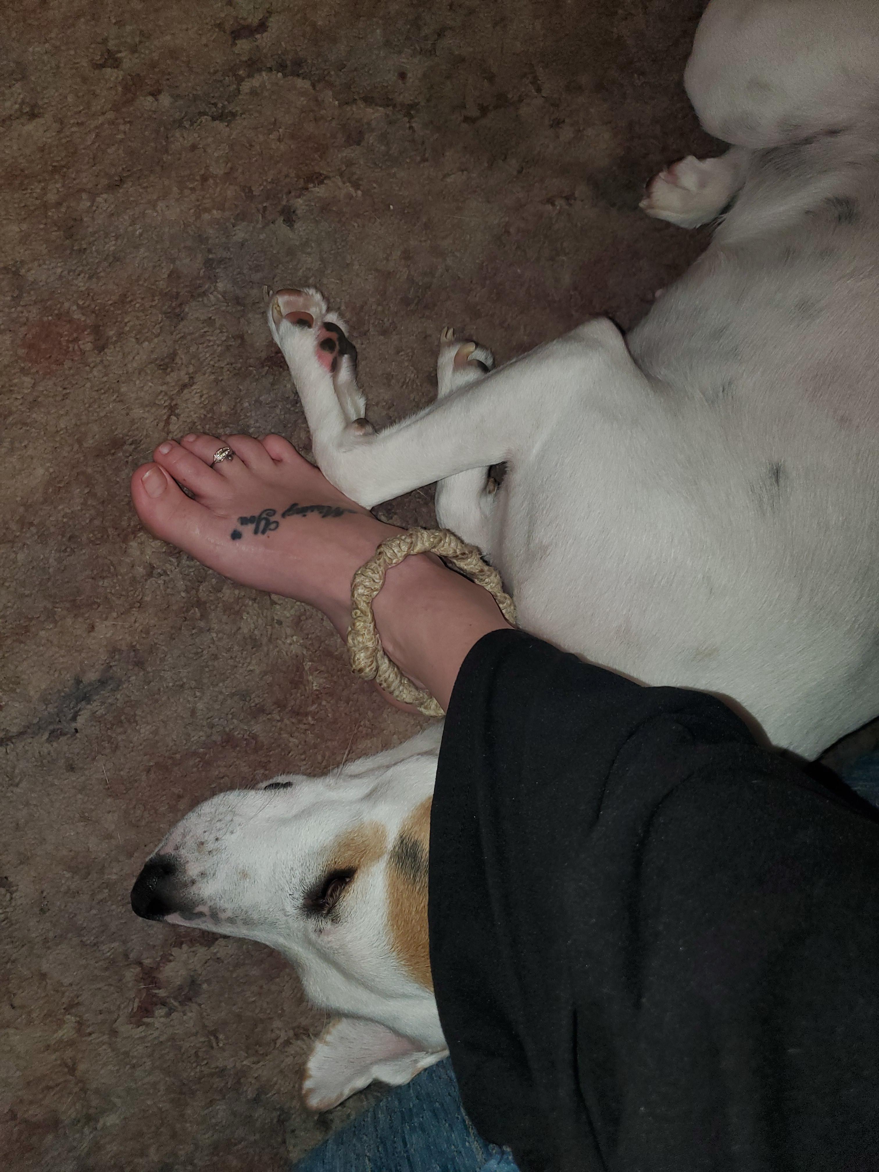 Wana Hang With Me ? (DMs Open.) | Scrolller