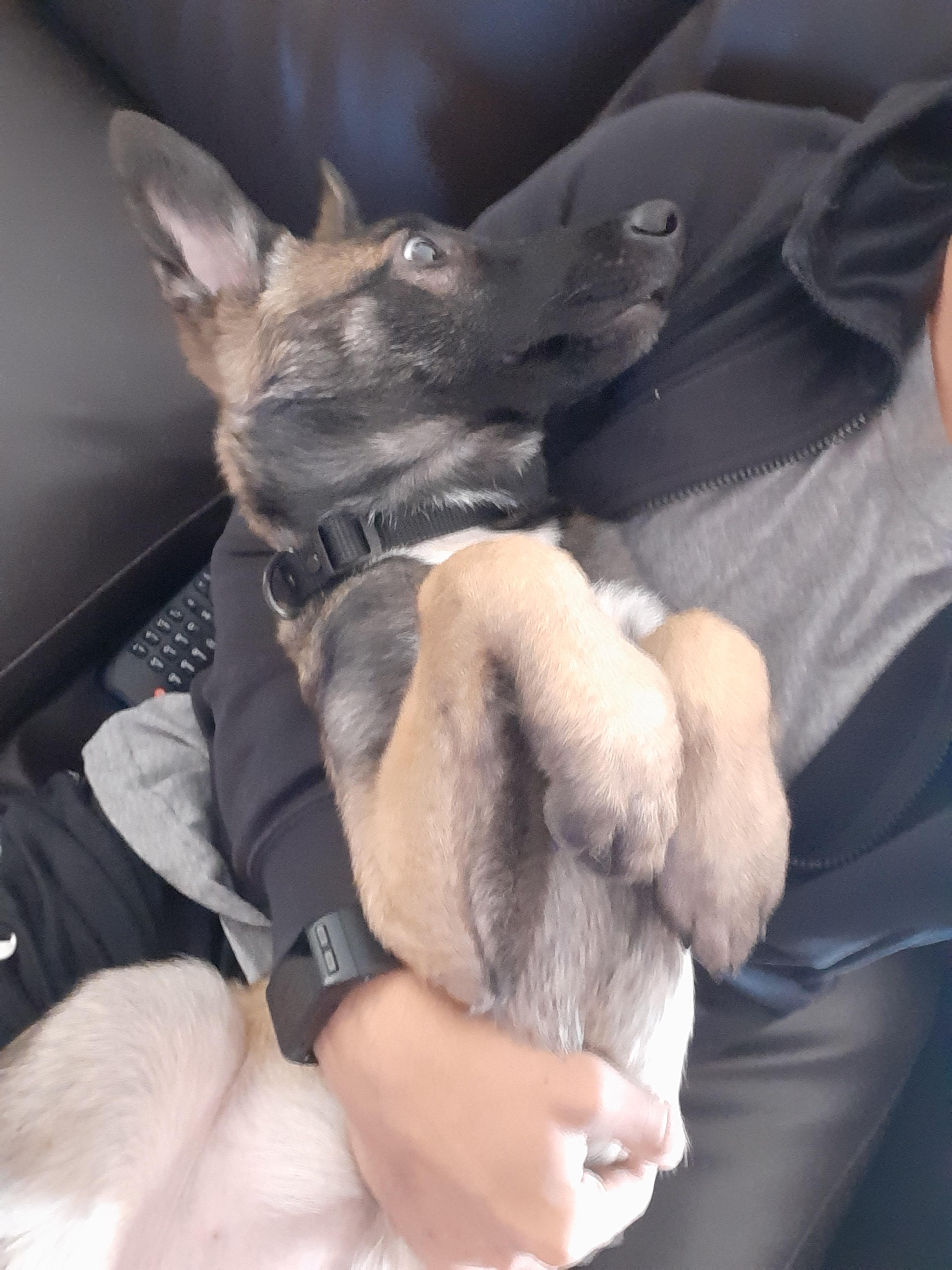 Wanna cuddle? | Scrolller