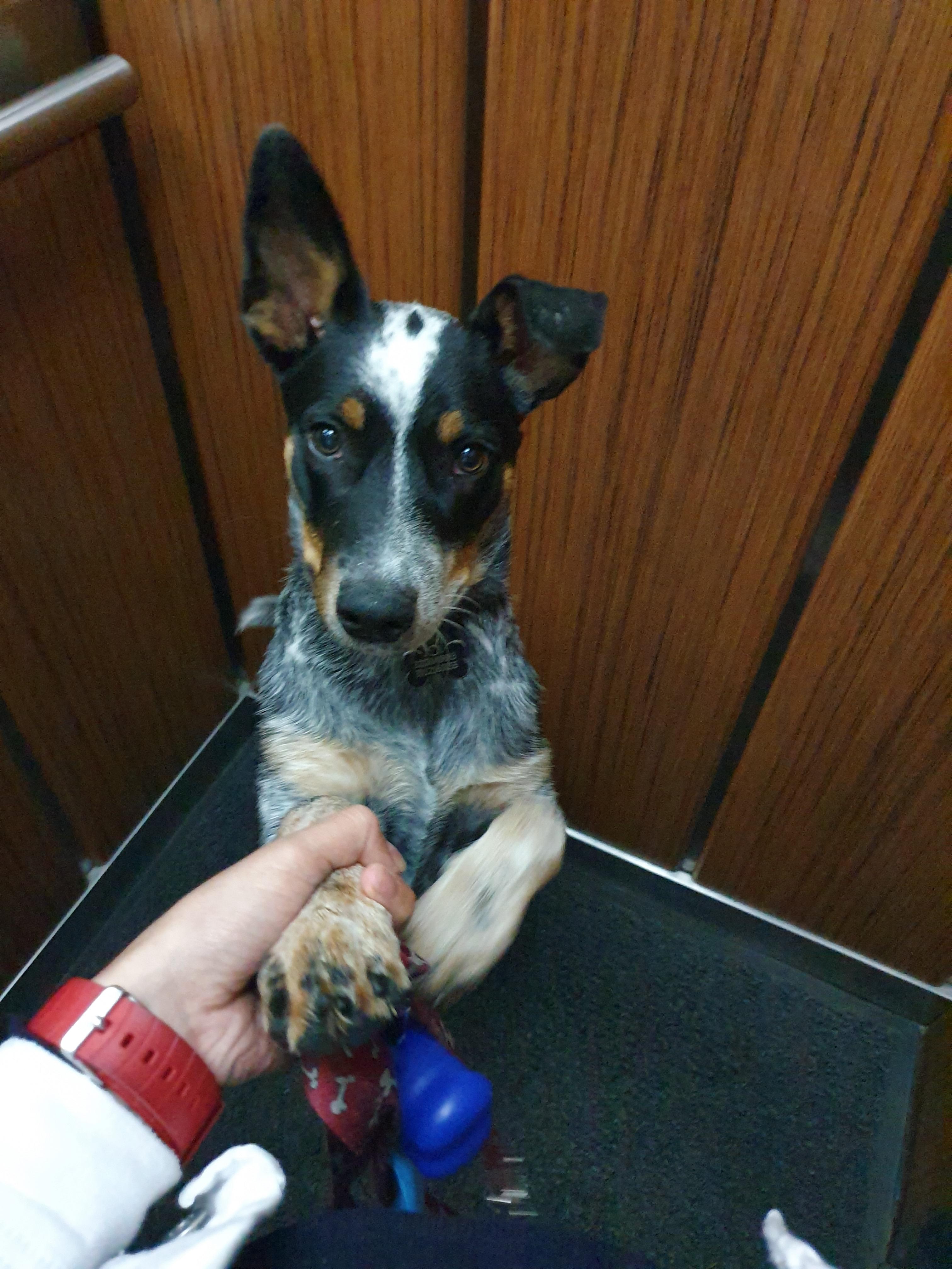 Wanna dance? | Scrolller