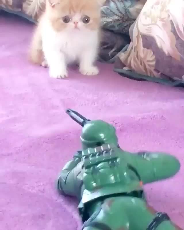 War is hell | Scrolller