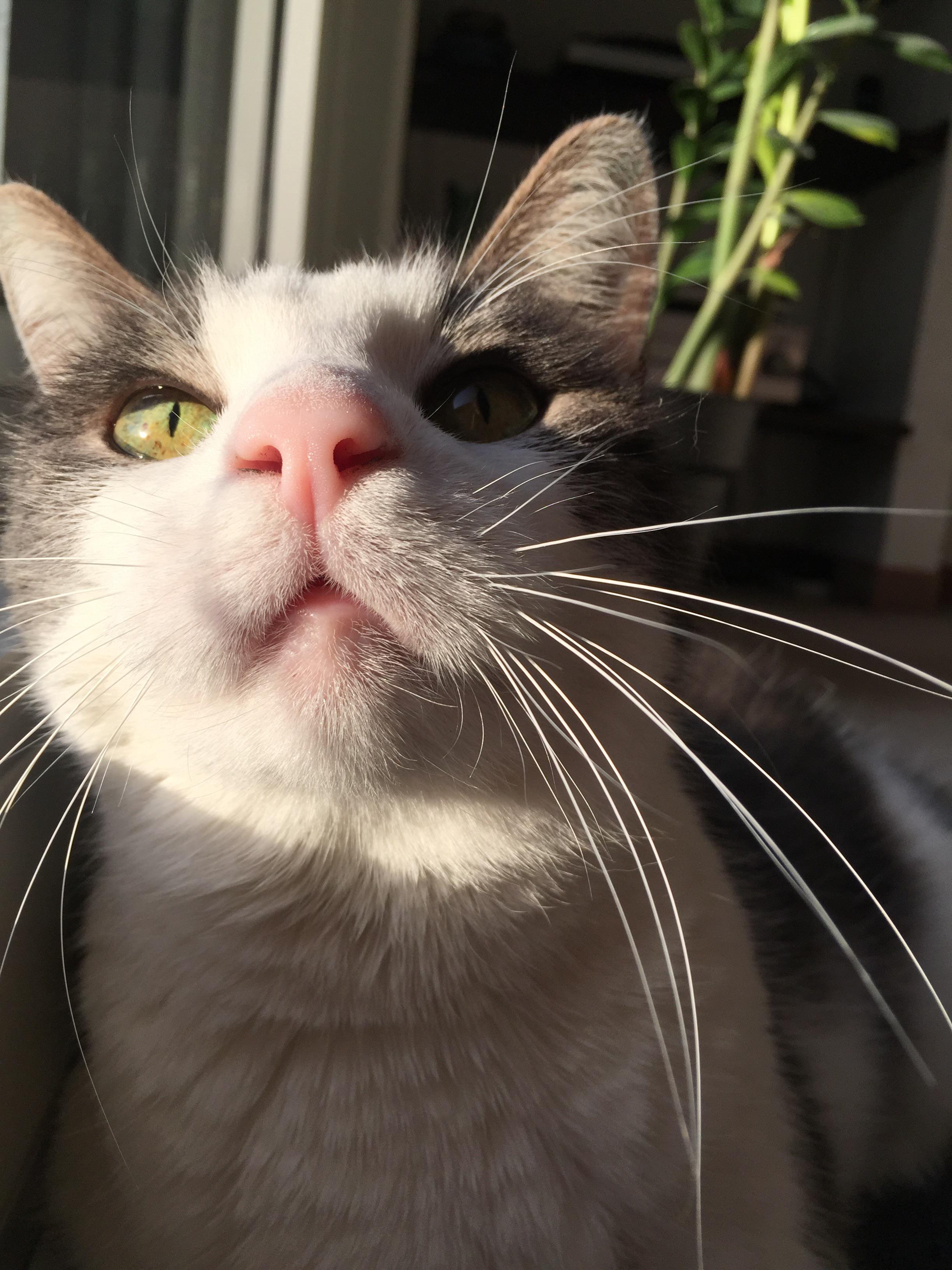 wash ur hands! | Scrolller