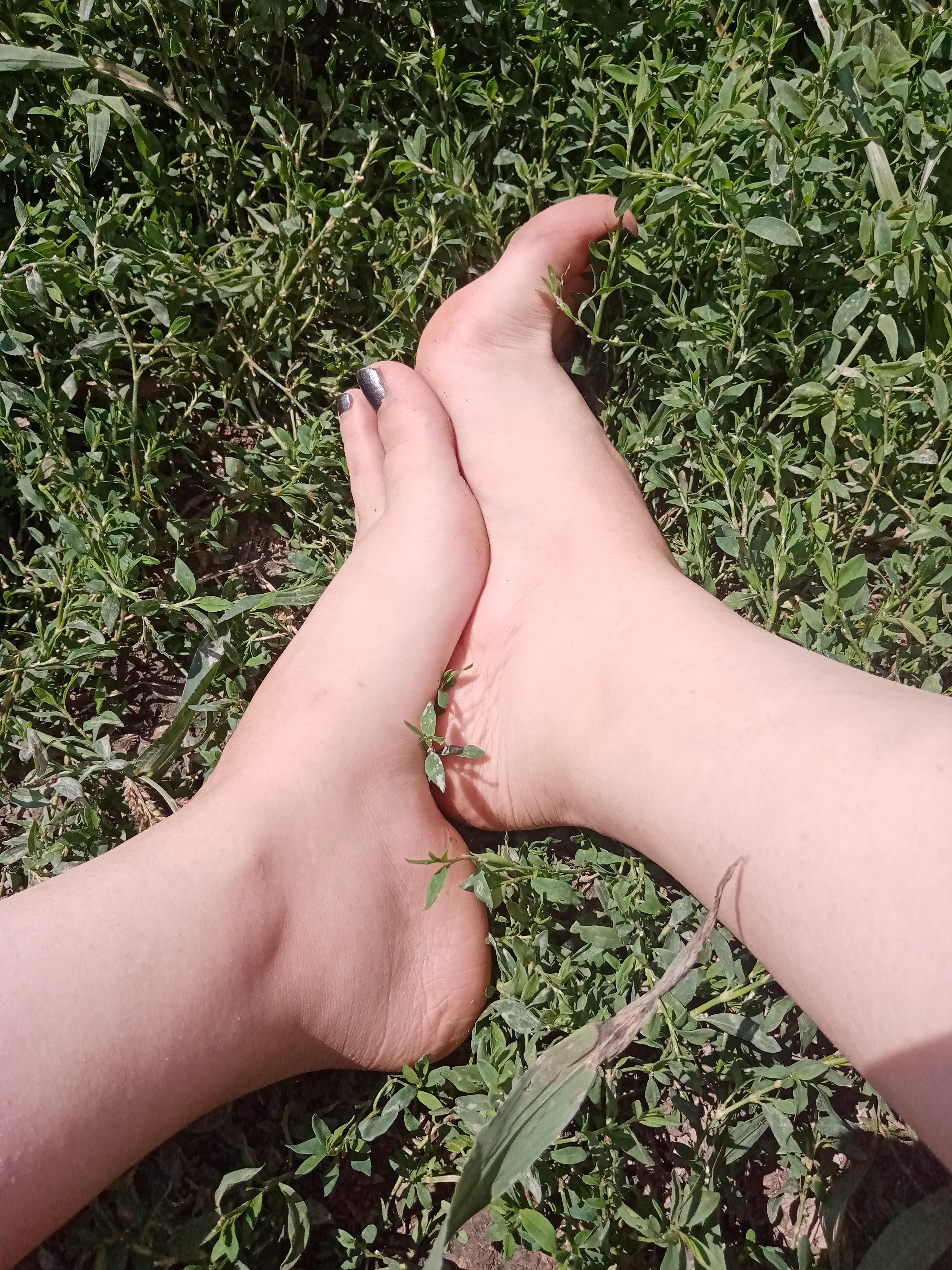 Watch,admire,pay | Scrolller