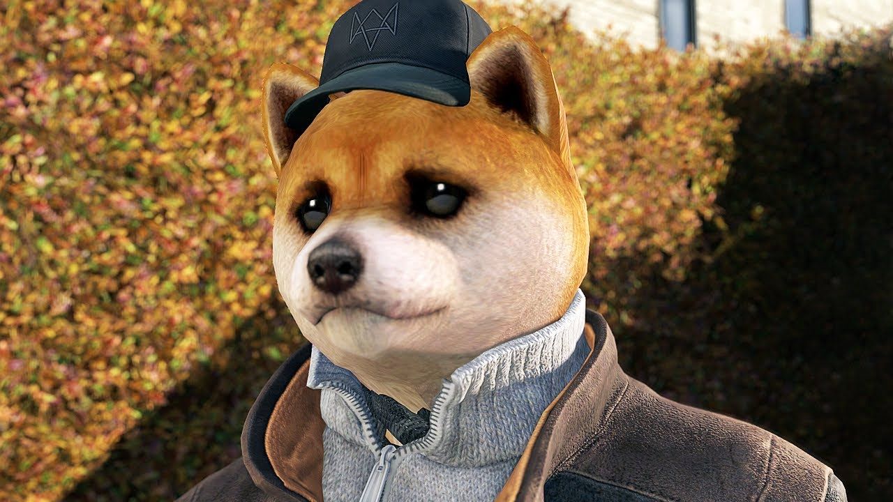 Watch Doge | Scrolller