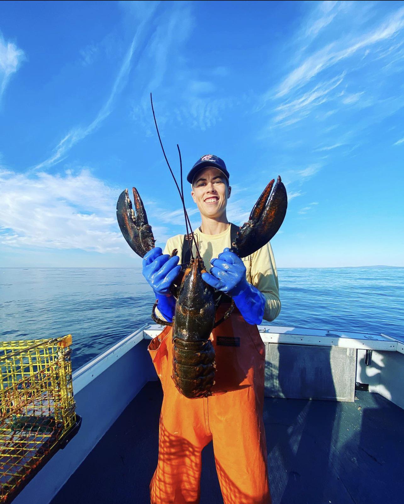 Watch them claws ️ Caught in the Gulf of Maine | Scrolller