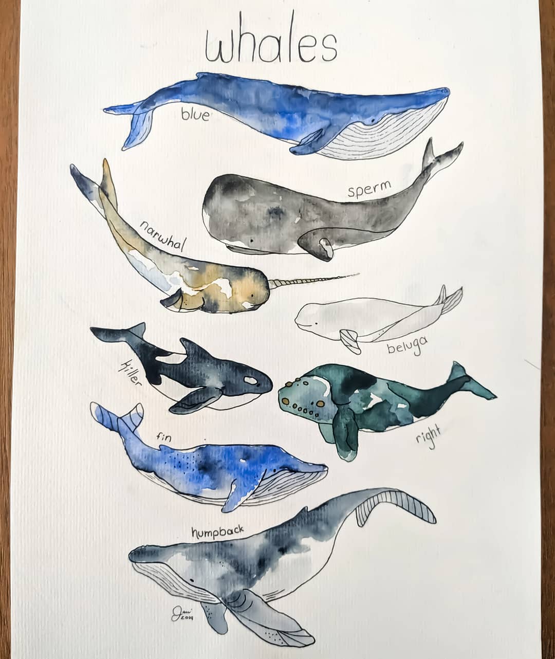 watercolor whales | Scrolller