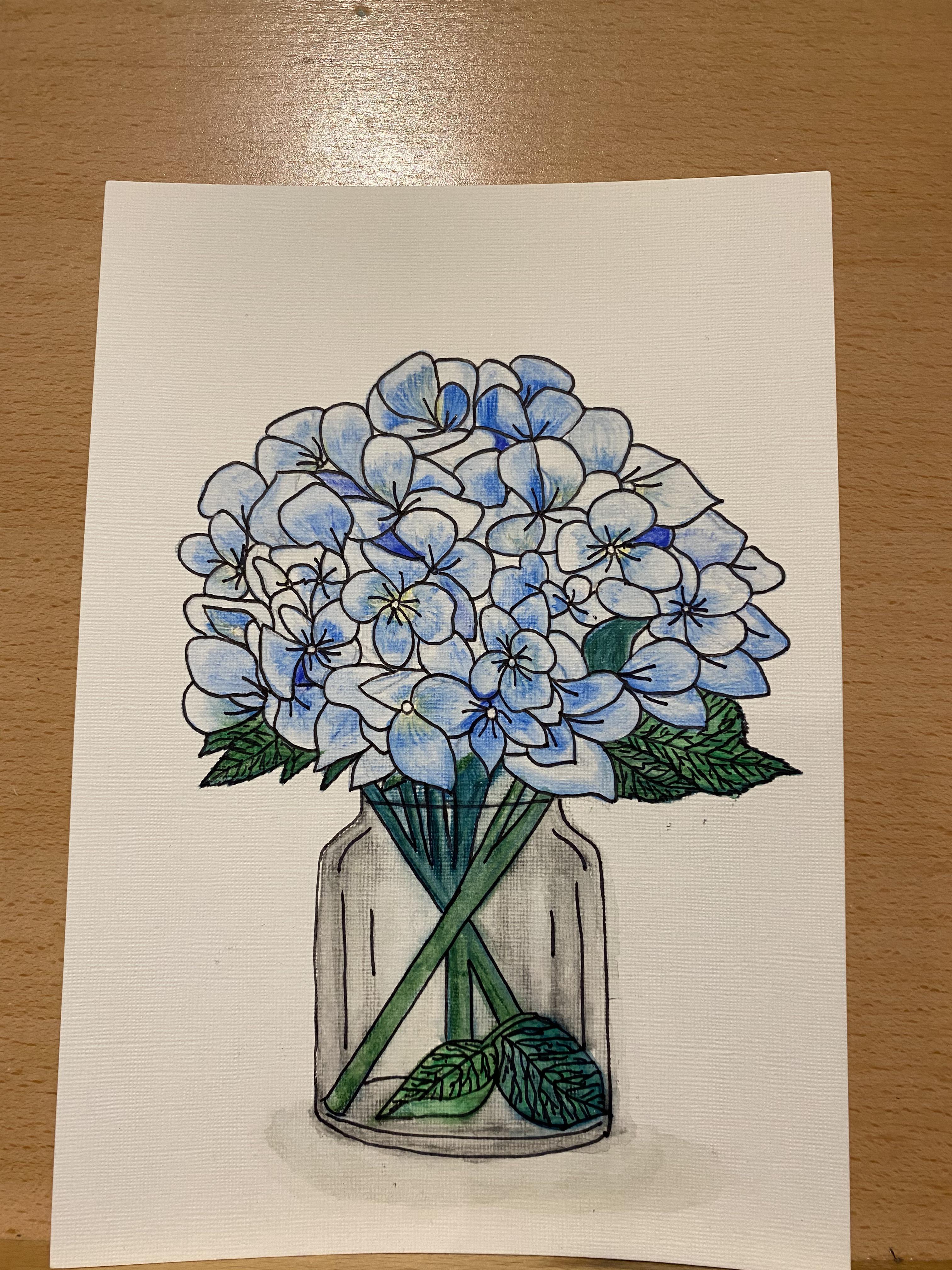 Watercolour Hydrangeas | Scrolller
