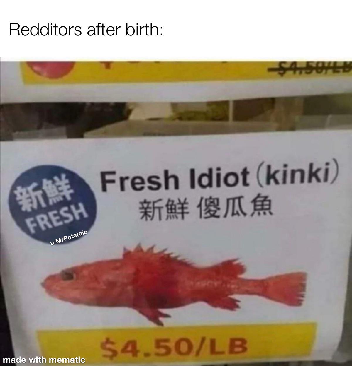 We are all idiots | Scrolller