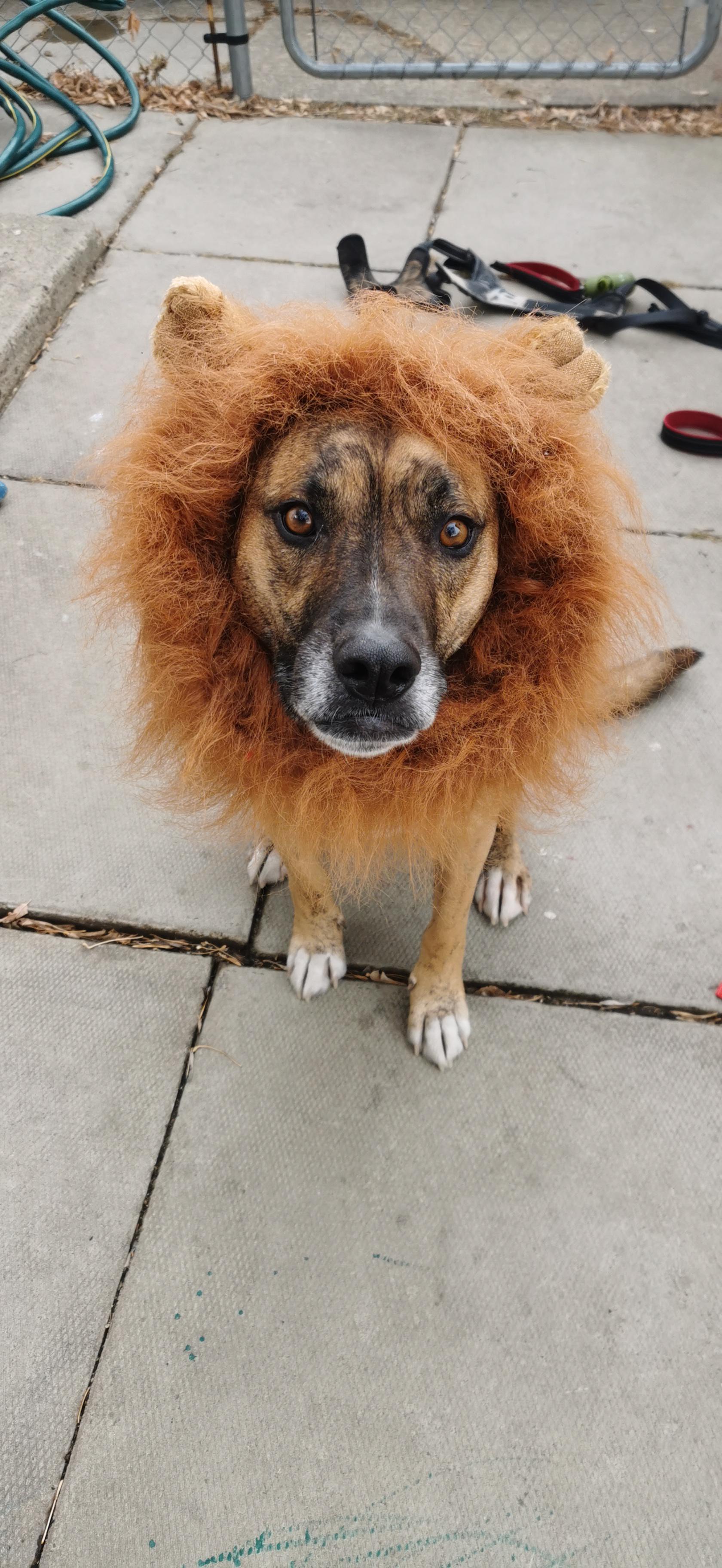 We are here for Mr. Puckett. | Scrolller