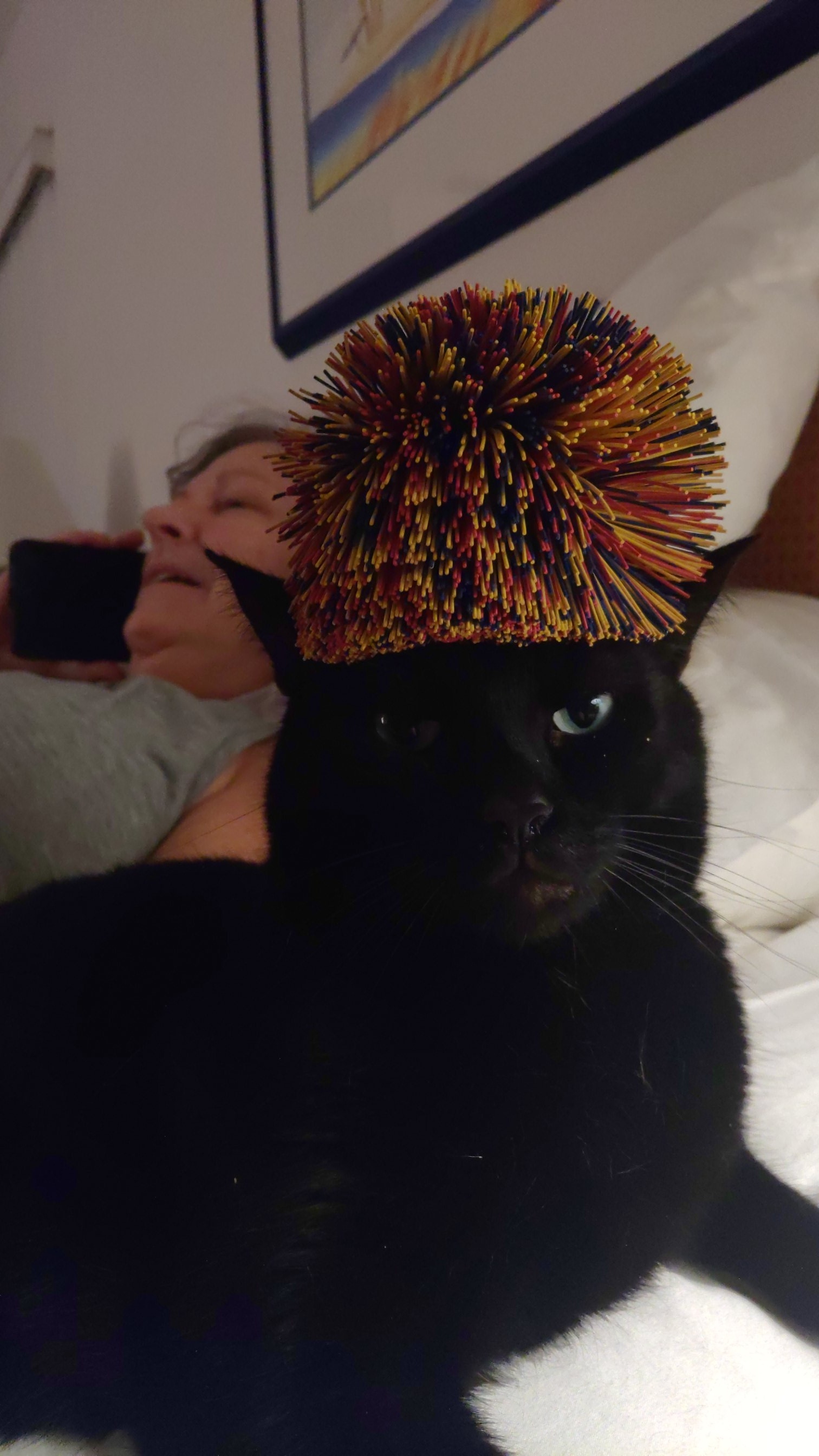 We are not amused | Scrolller