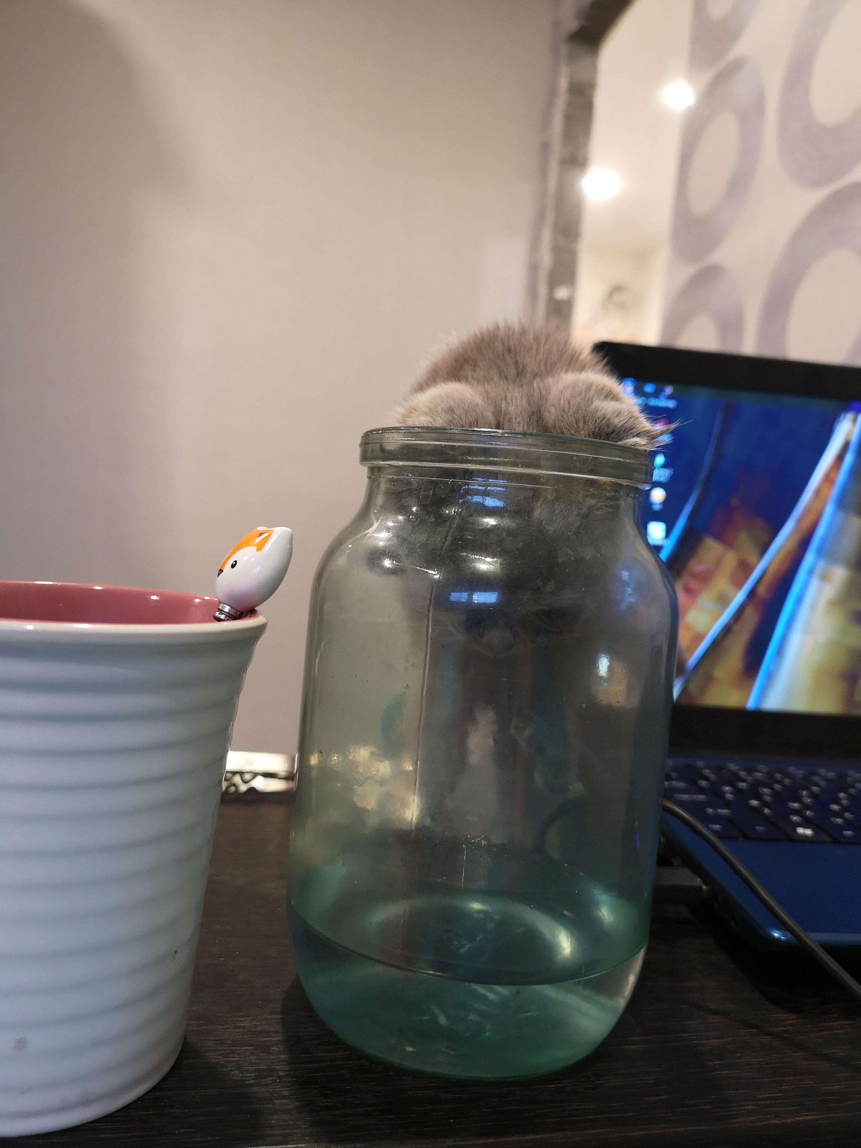 we are so inquisitive | Scrolller