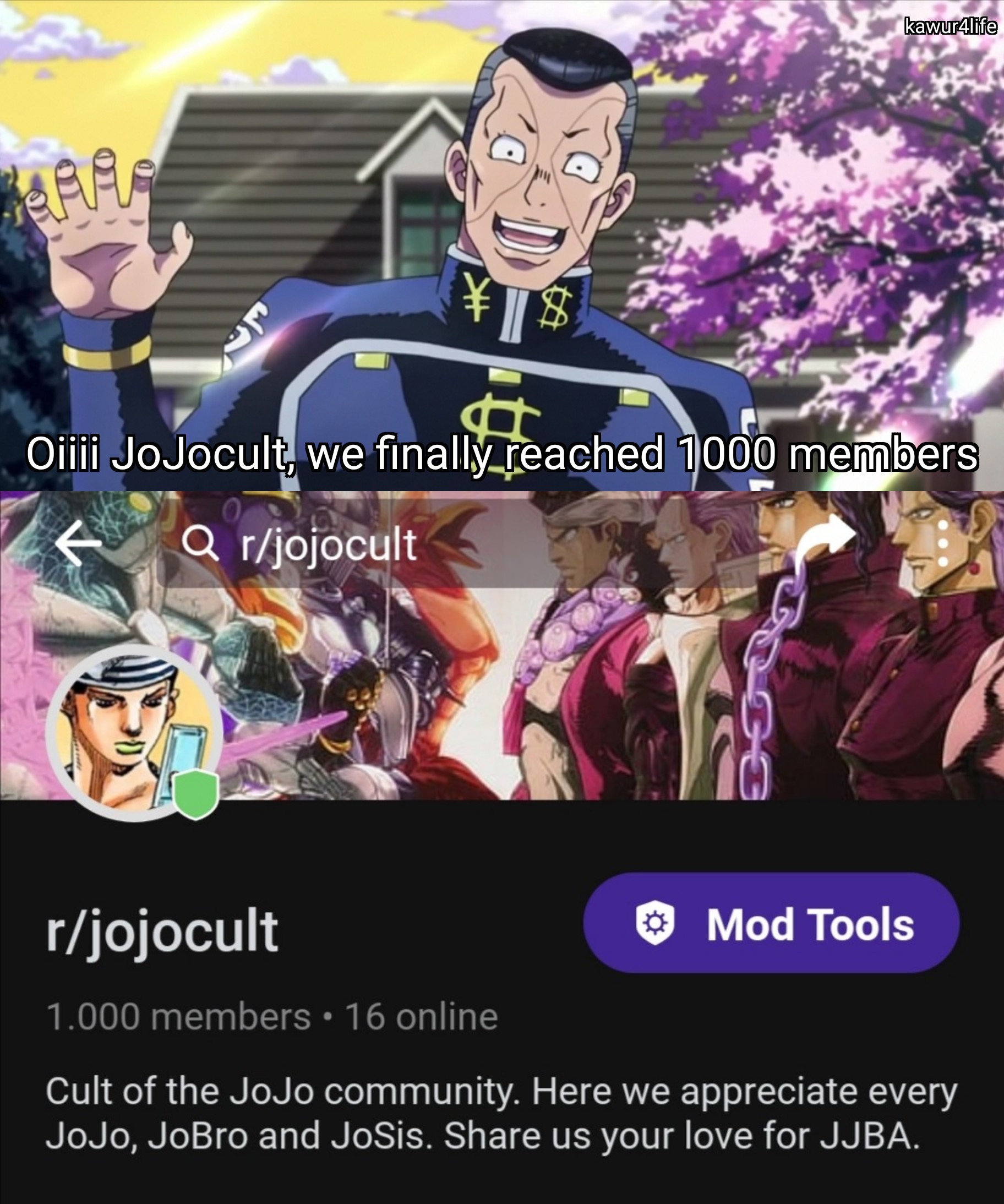 "We finally reached 1000 members" | Scrolller