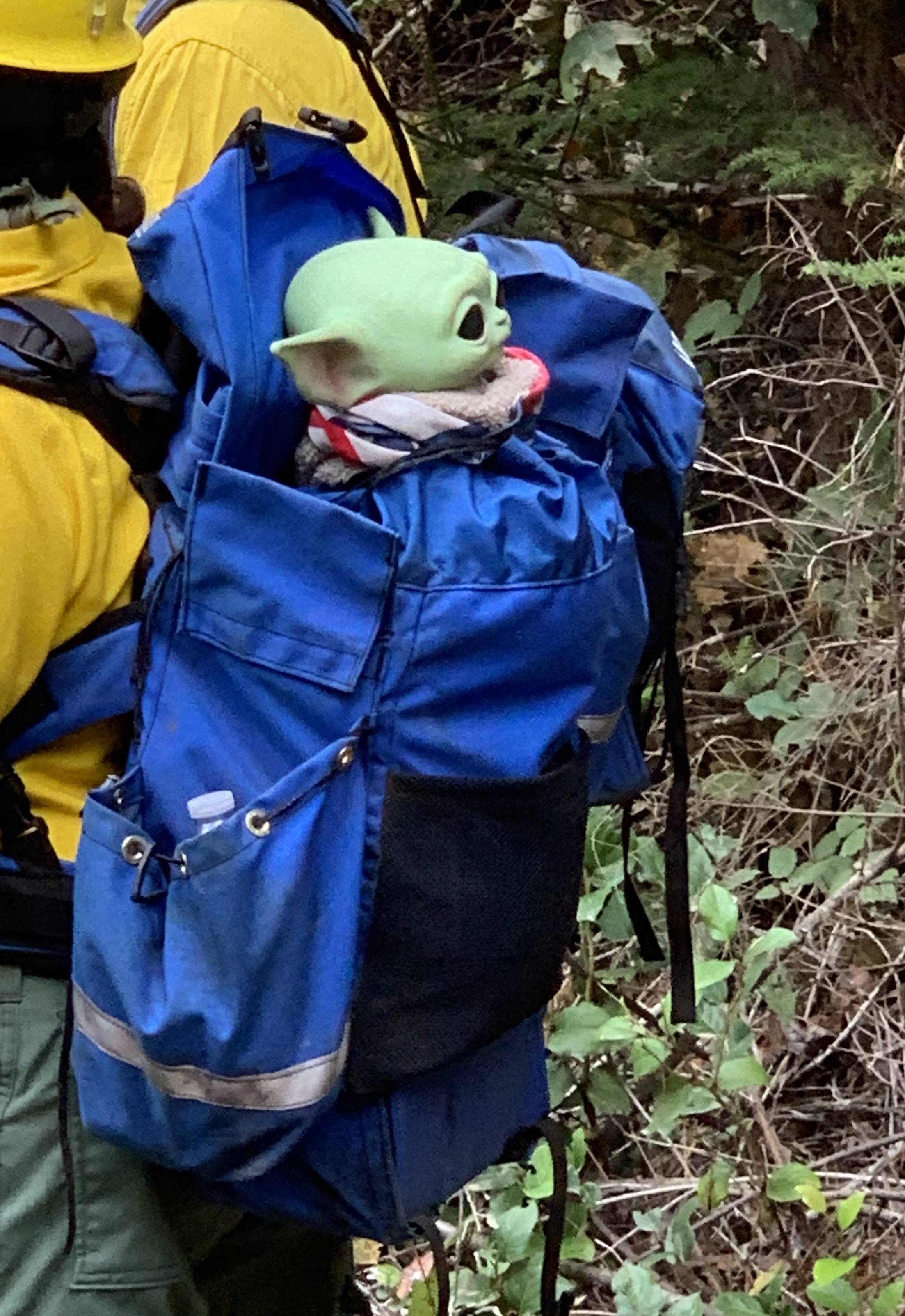 We got ‘em! | Scrolller