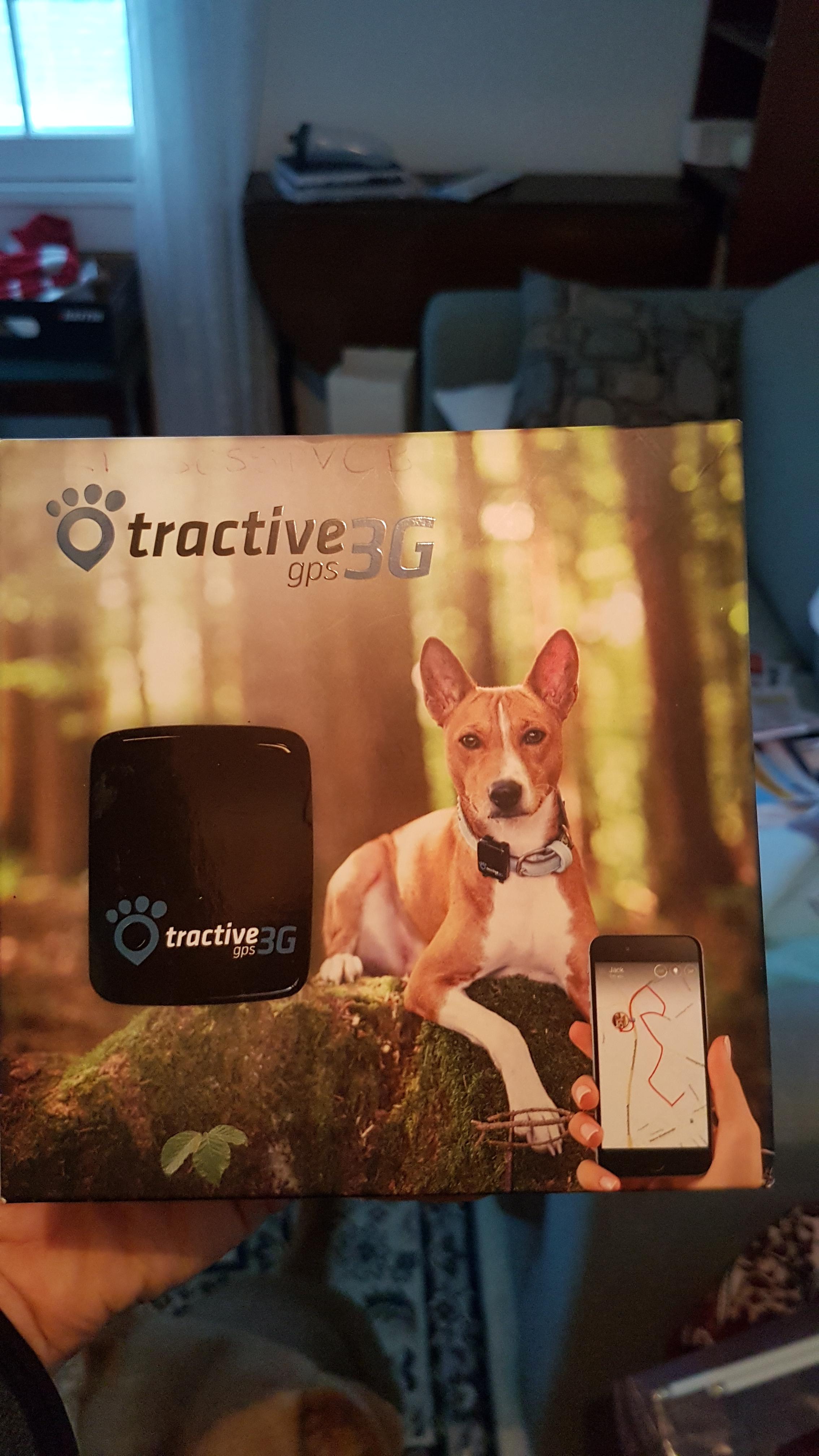 We got Kiwi a GPS tracker | Scrolller