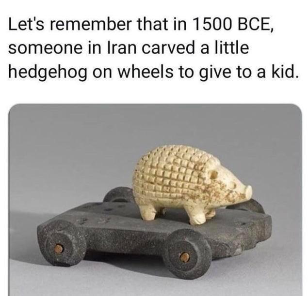 Blessed_hedgehog | Scrolller