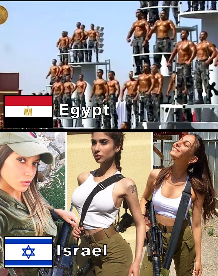 We have a lot in common | Scrolller