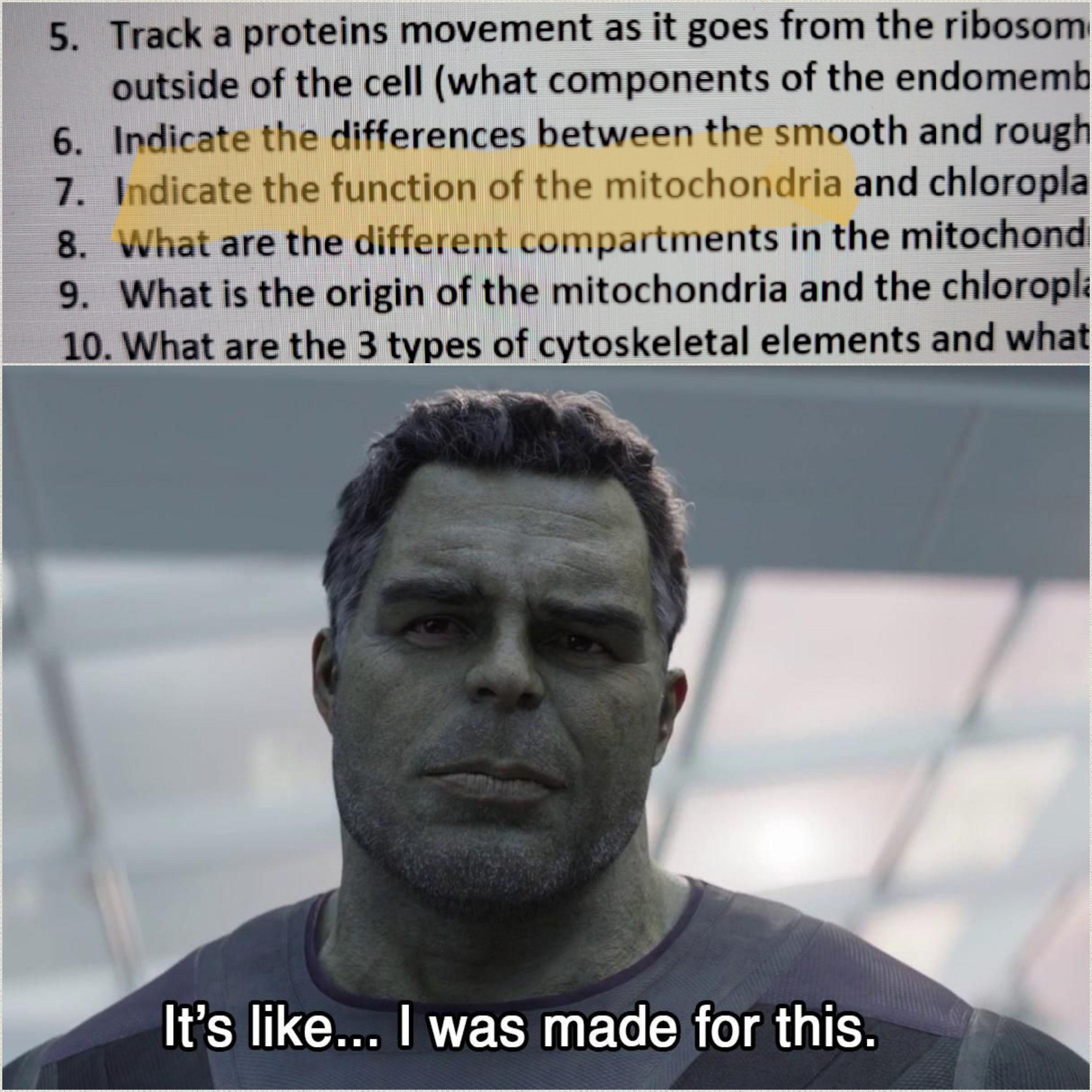 We have one duty in life. | Scrolller