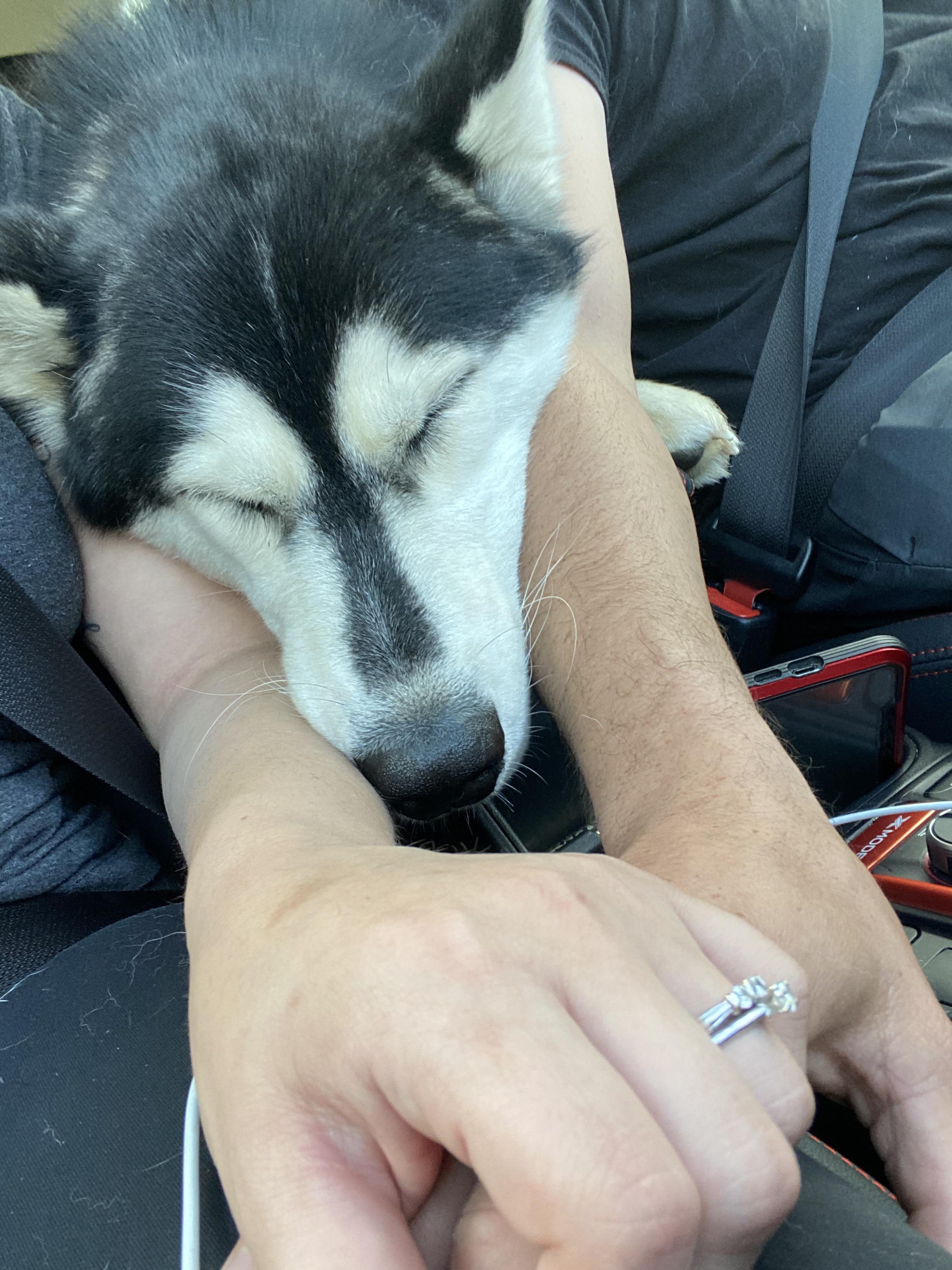 We just adopted our 1yo boy.