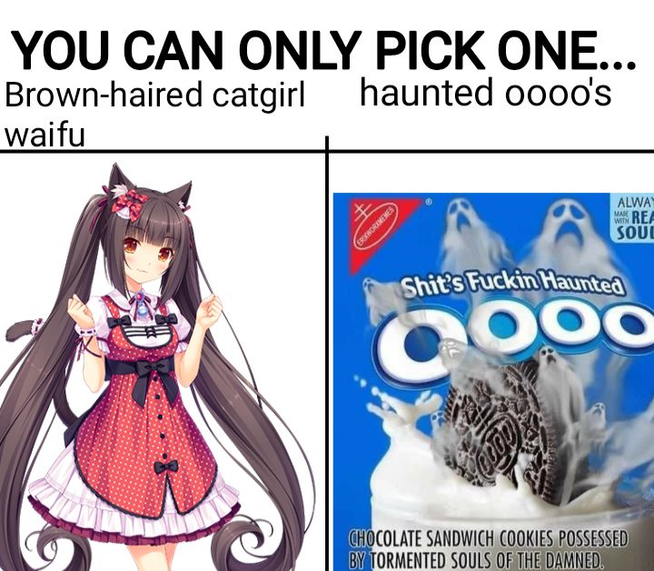 We know the best option | Scrolller