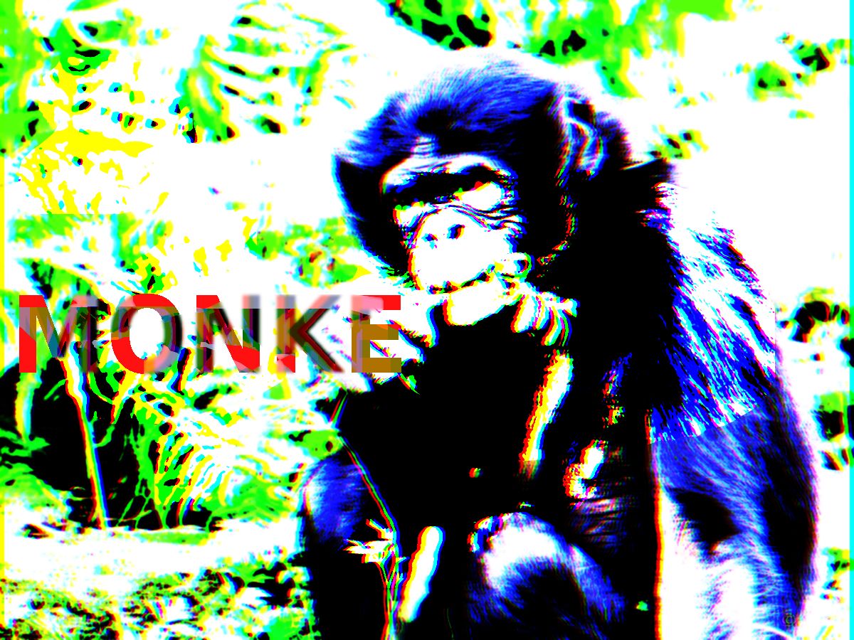 We must all return to the MONKE | Scrolller