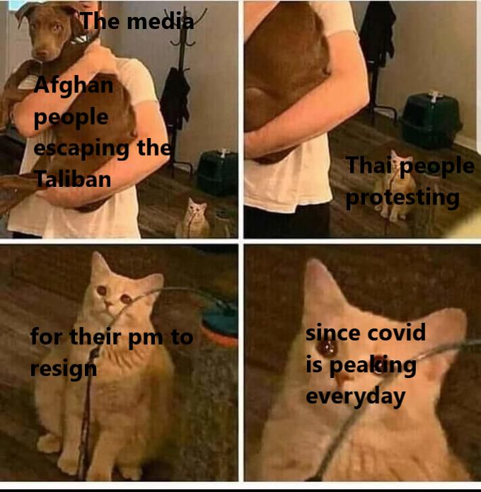 We need equal attention too just saying | Scrolller