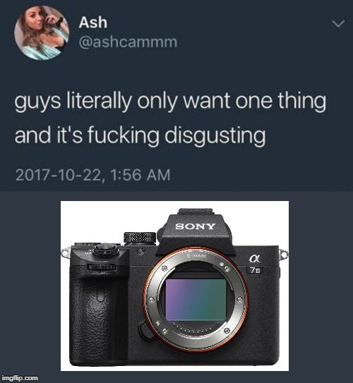 We need more memes around here | Scrolller