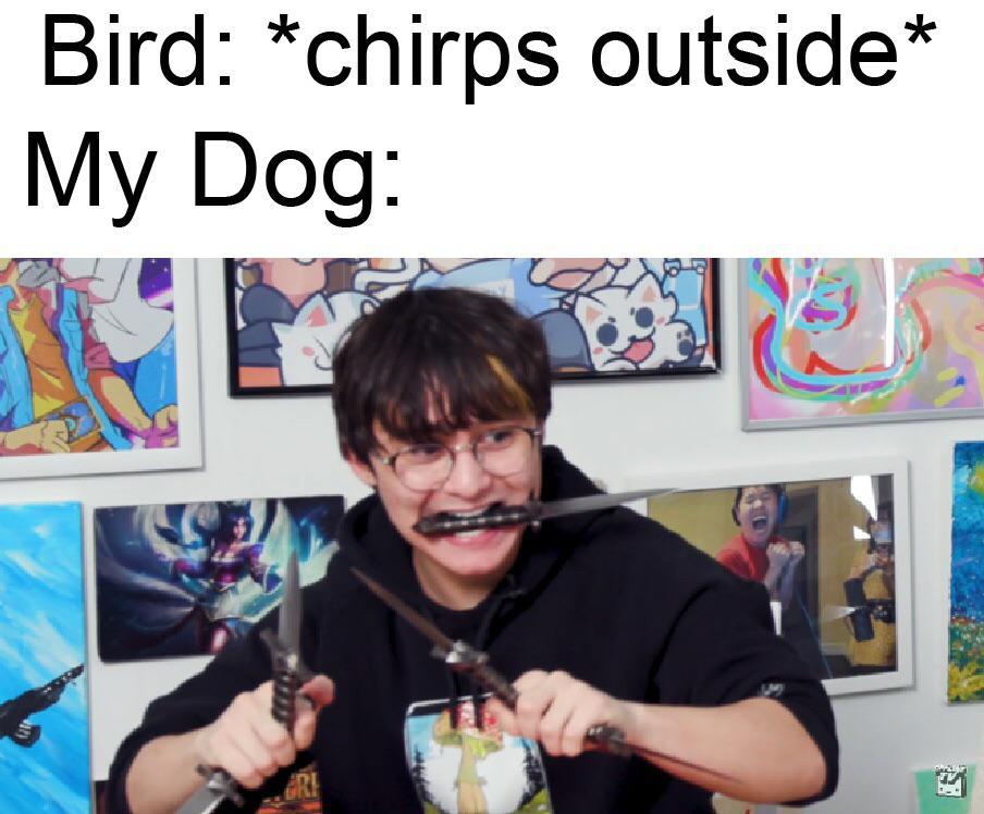 we should not trust Michael reeves with knives | Scrolller