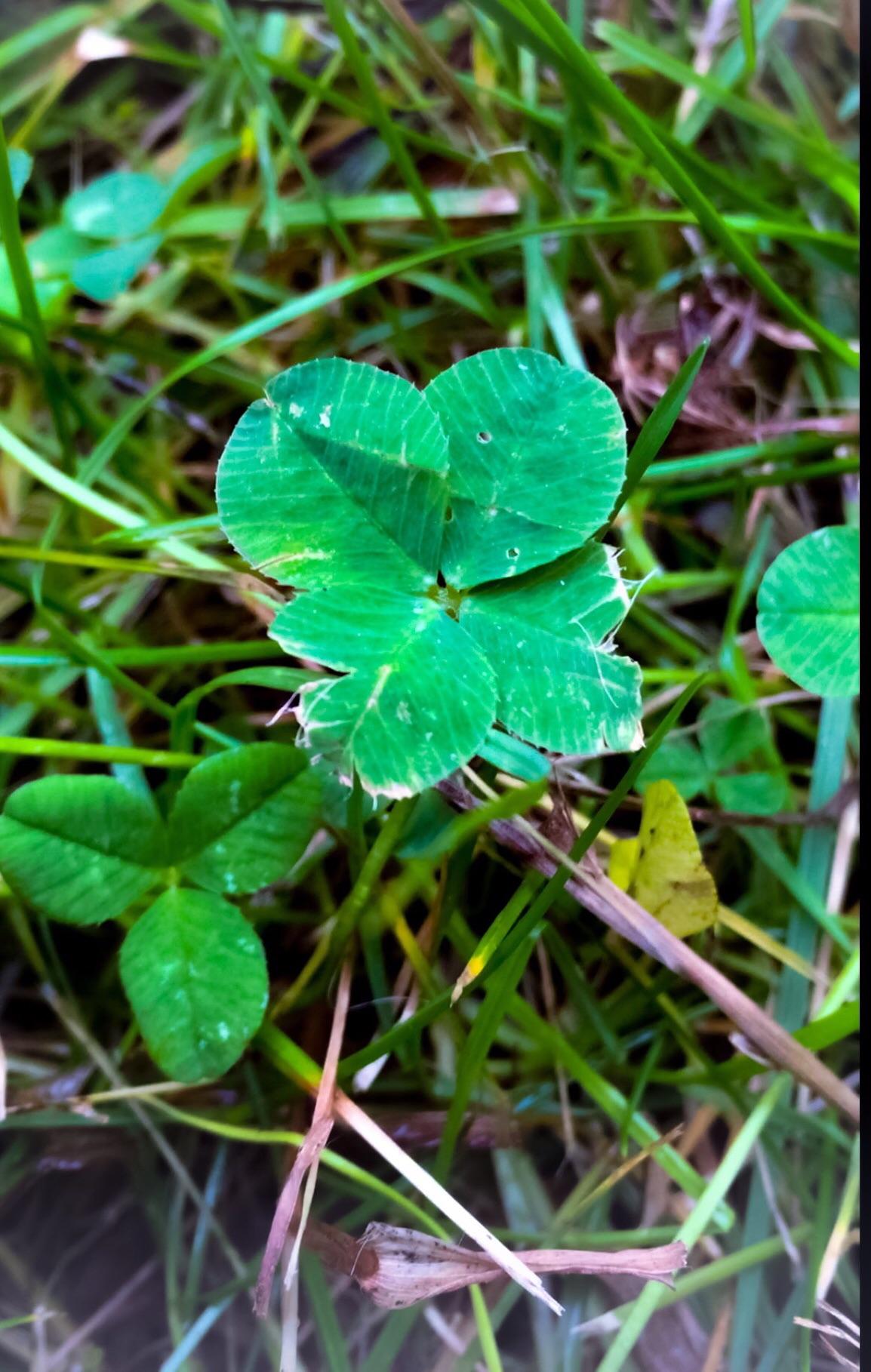 Wednesday Wishing | Scrolller