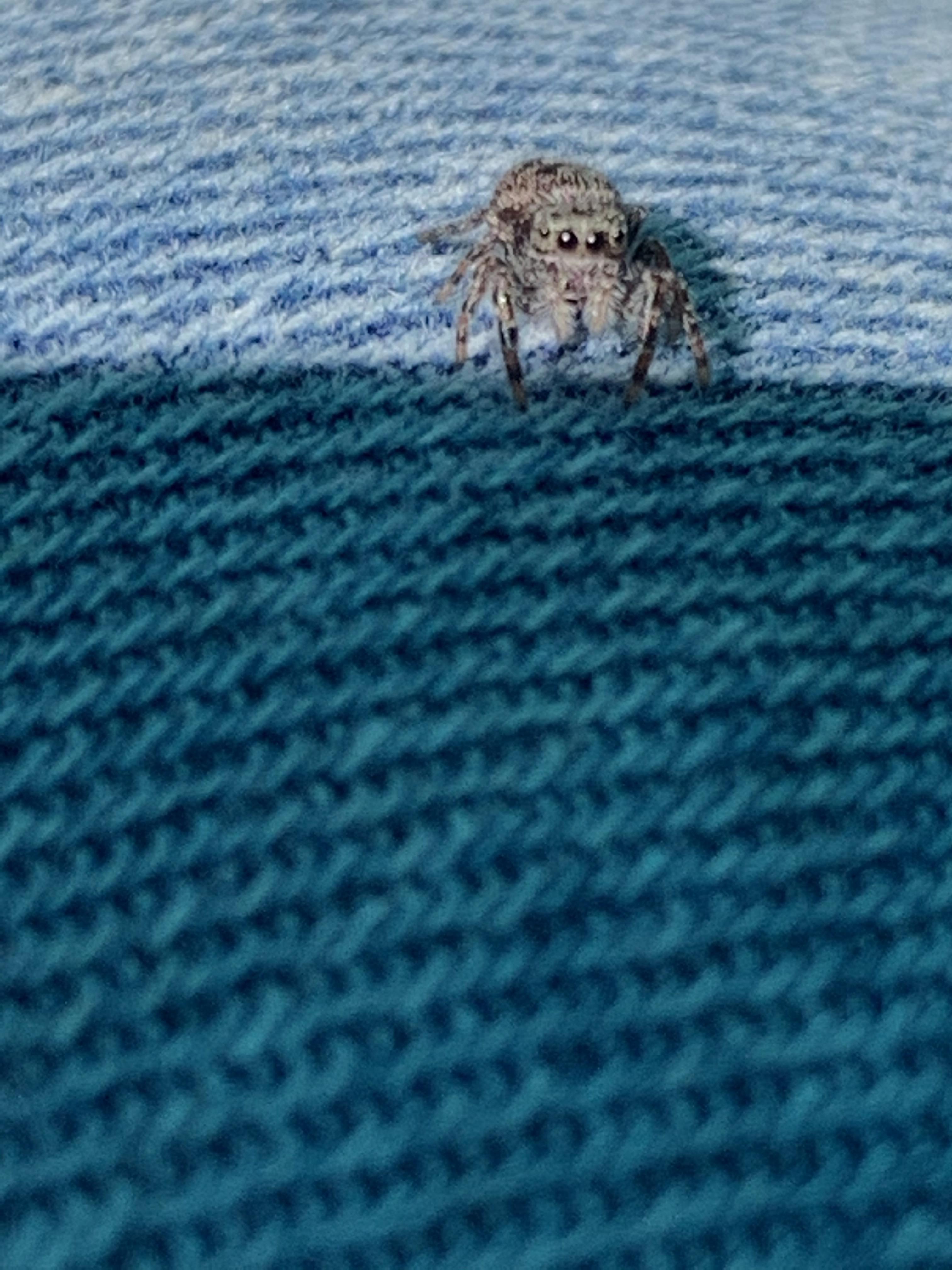 Wee little guy on my knee | Scrolller