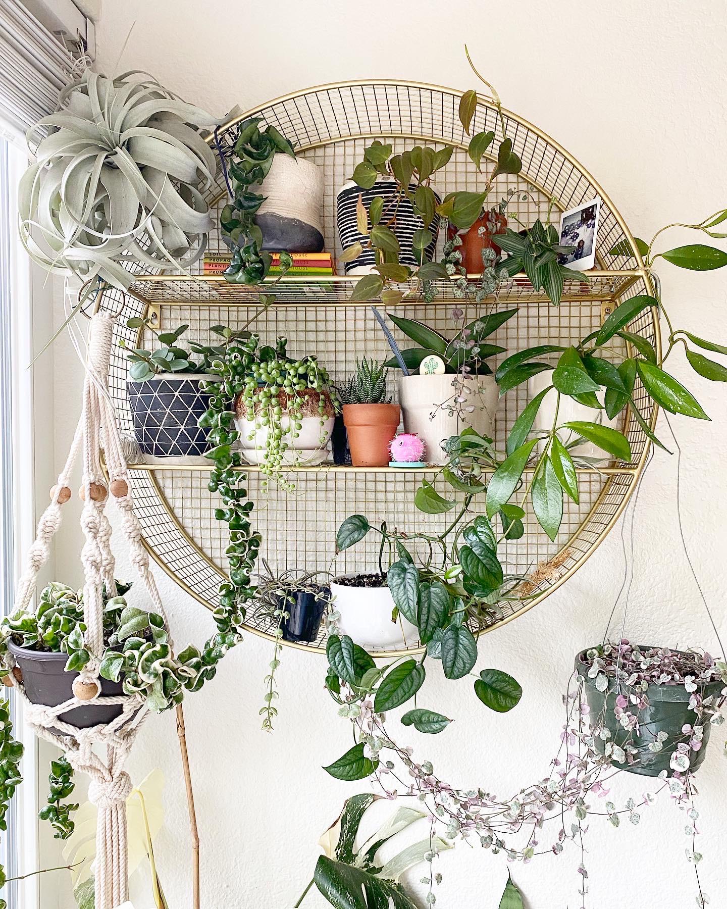 Weekend update. | Scrolller