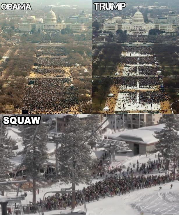 Weekend Warrior | Scrolller