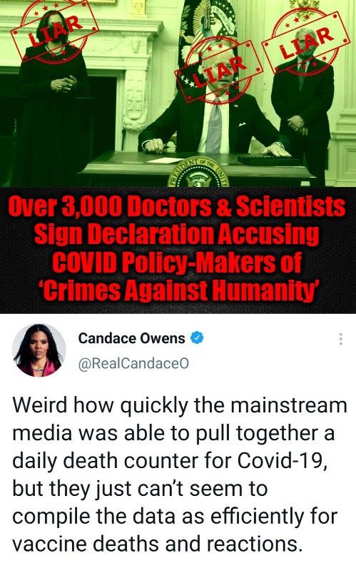 Weird... And Down Right Strange | Scrolller