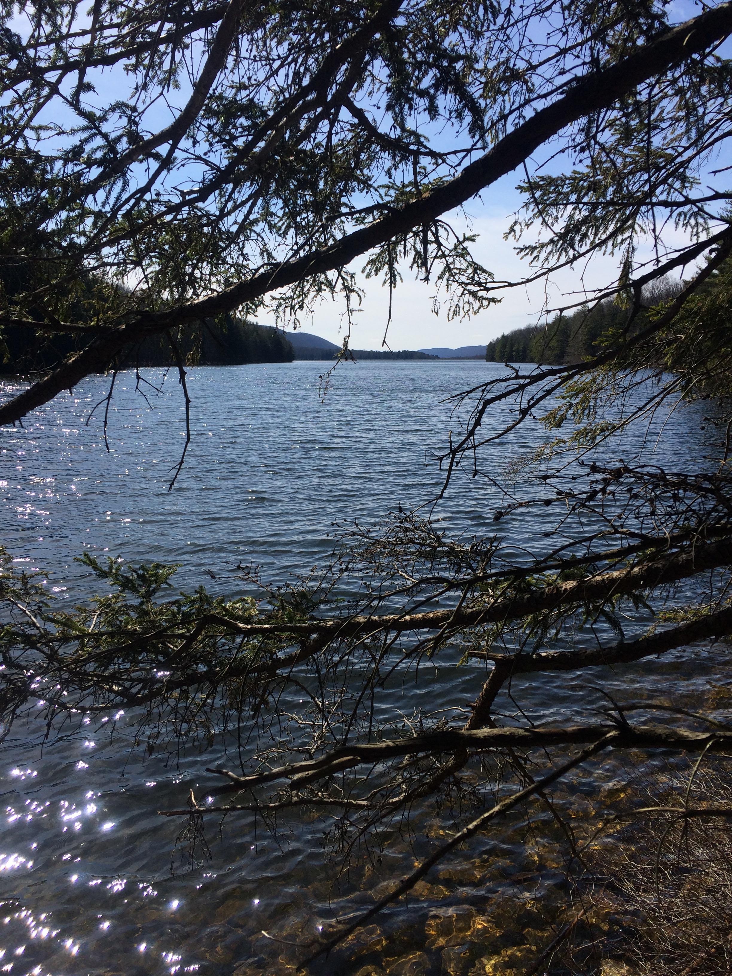 Weiser State Forest, PA | Scrolller