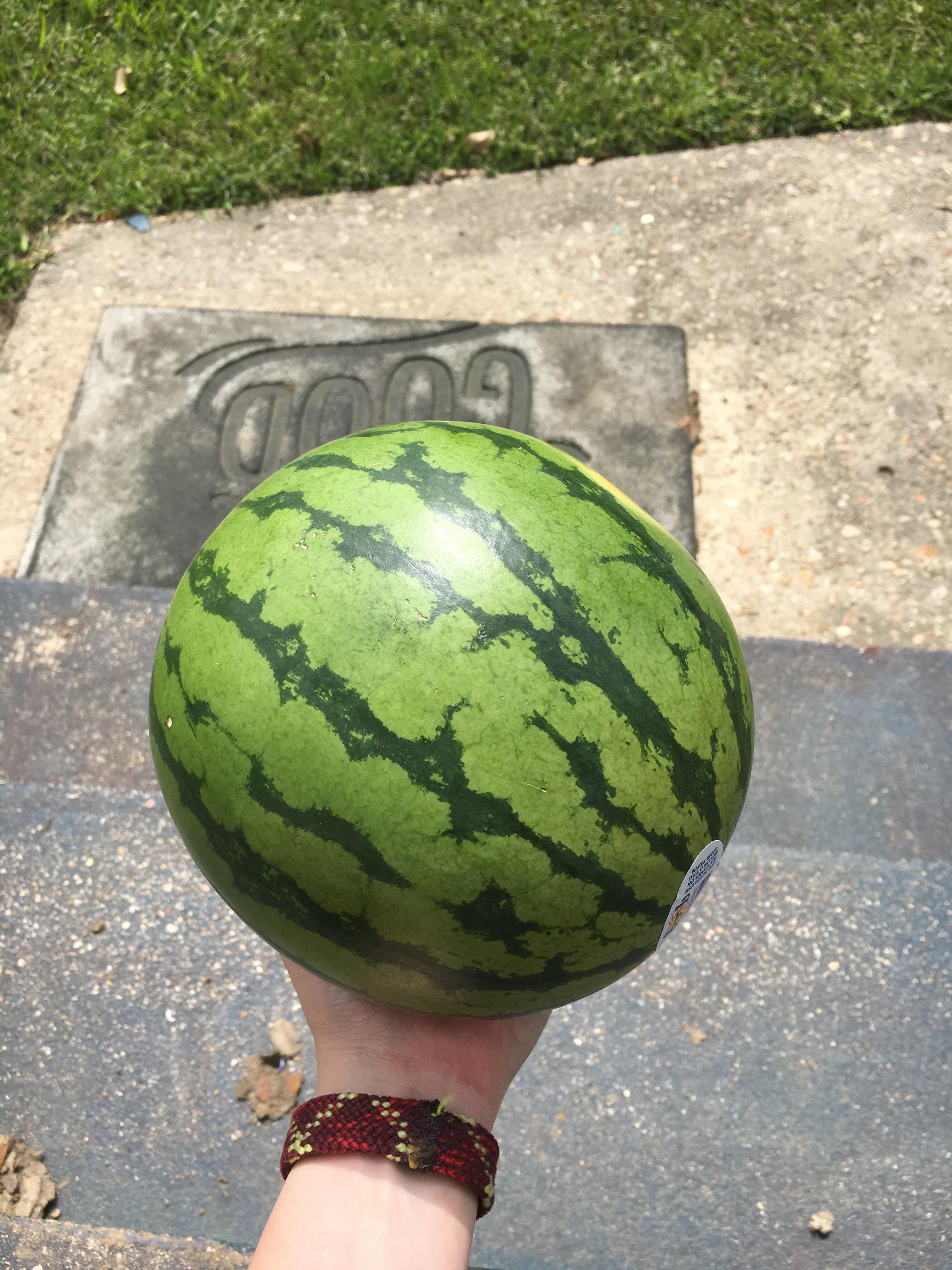 welcome back watermelon season! | Scrolller