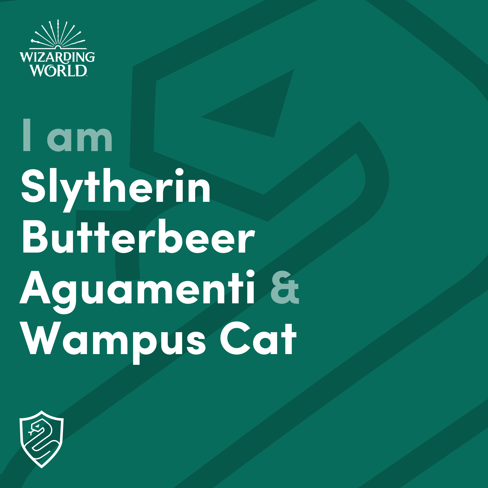 Welcome to the Wizarding World! | Scrolller