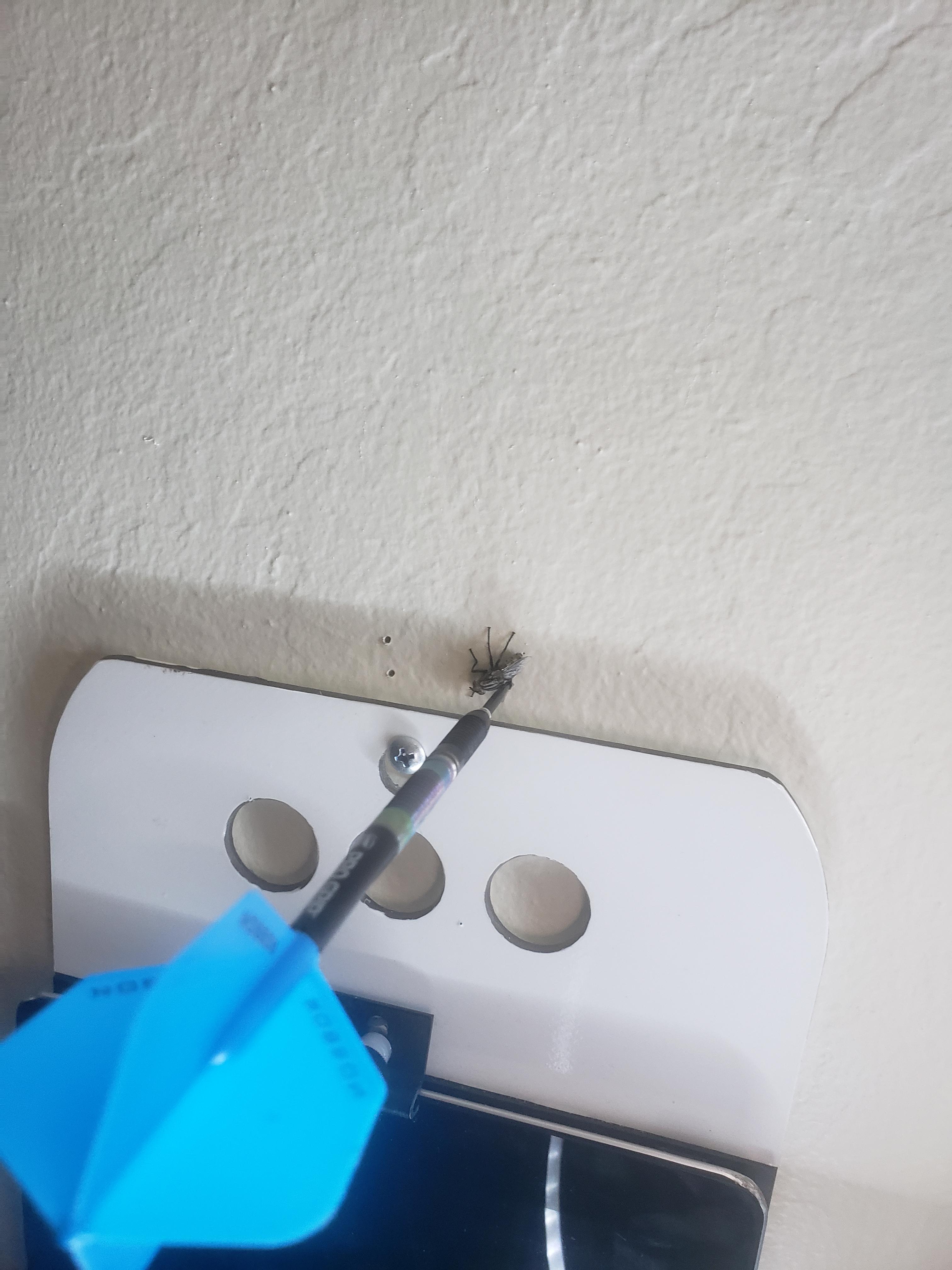 Well boys, I finally did it. Winged him. | Scrolller