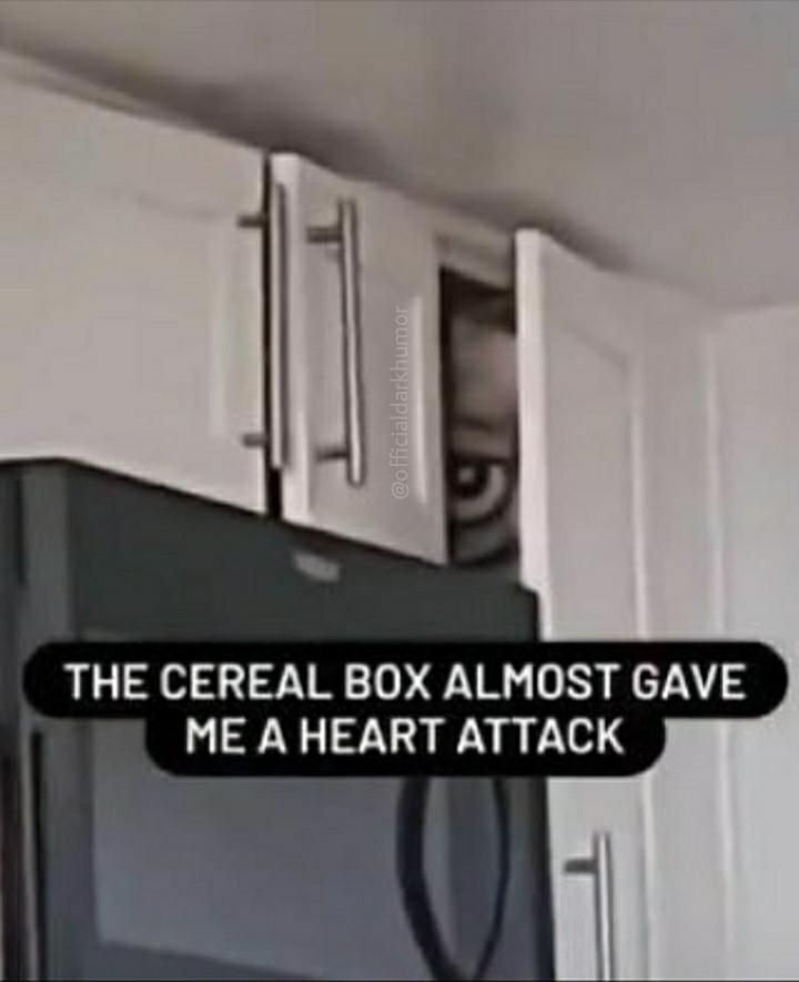 Well that's an interesting Cereal Box | Scrolller