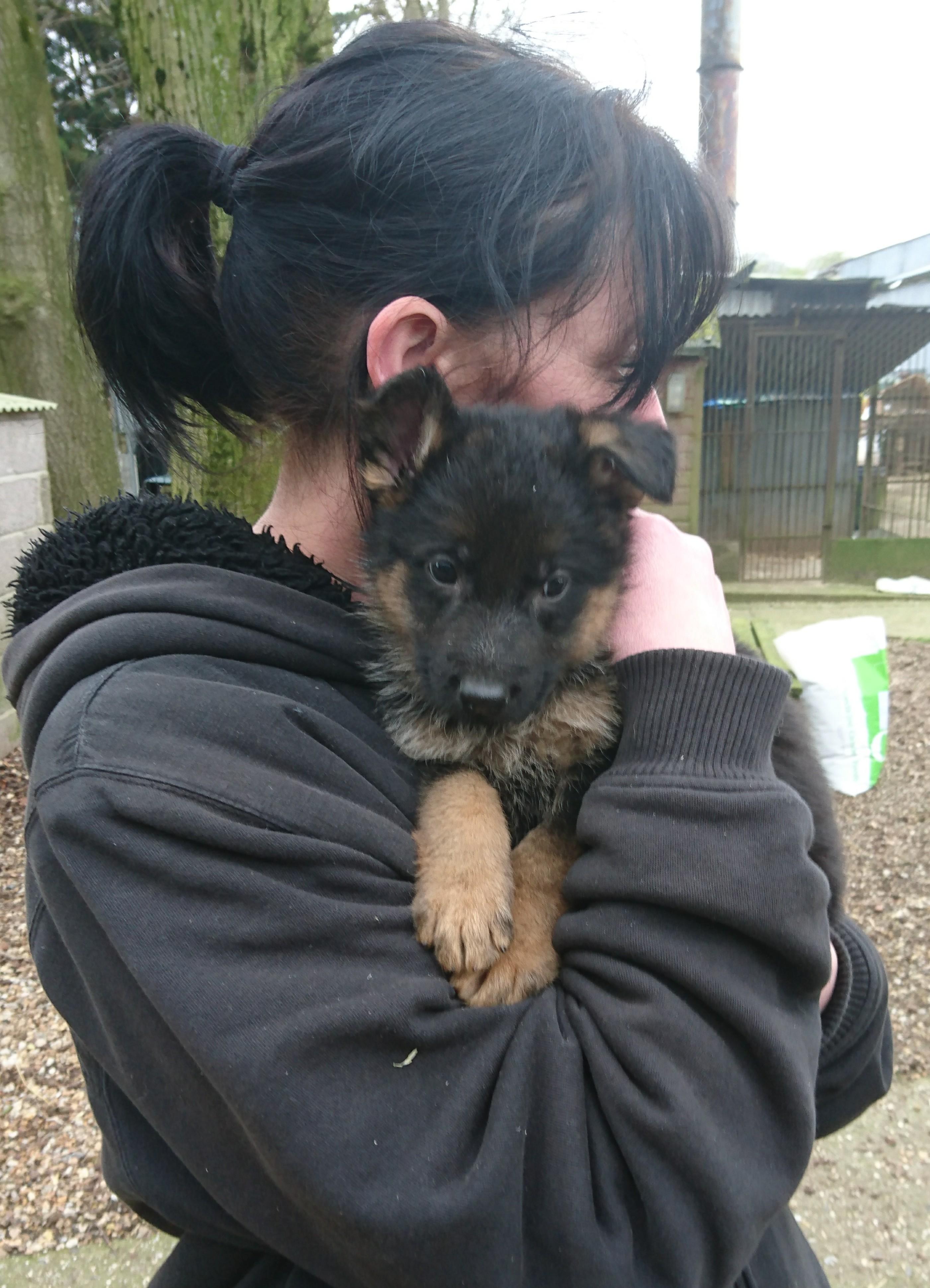 Went to meet our new family member today! | Scrolller