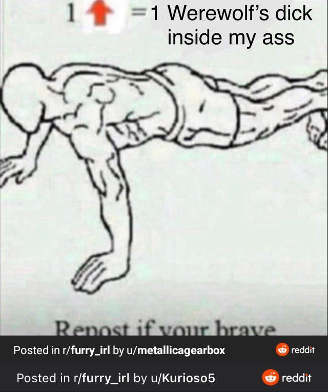 werewolf_irl | Scrolller