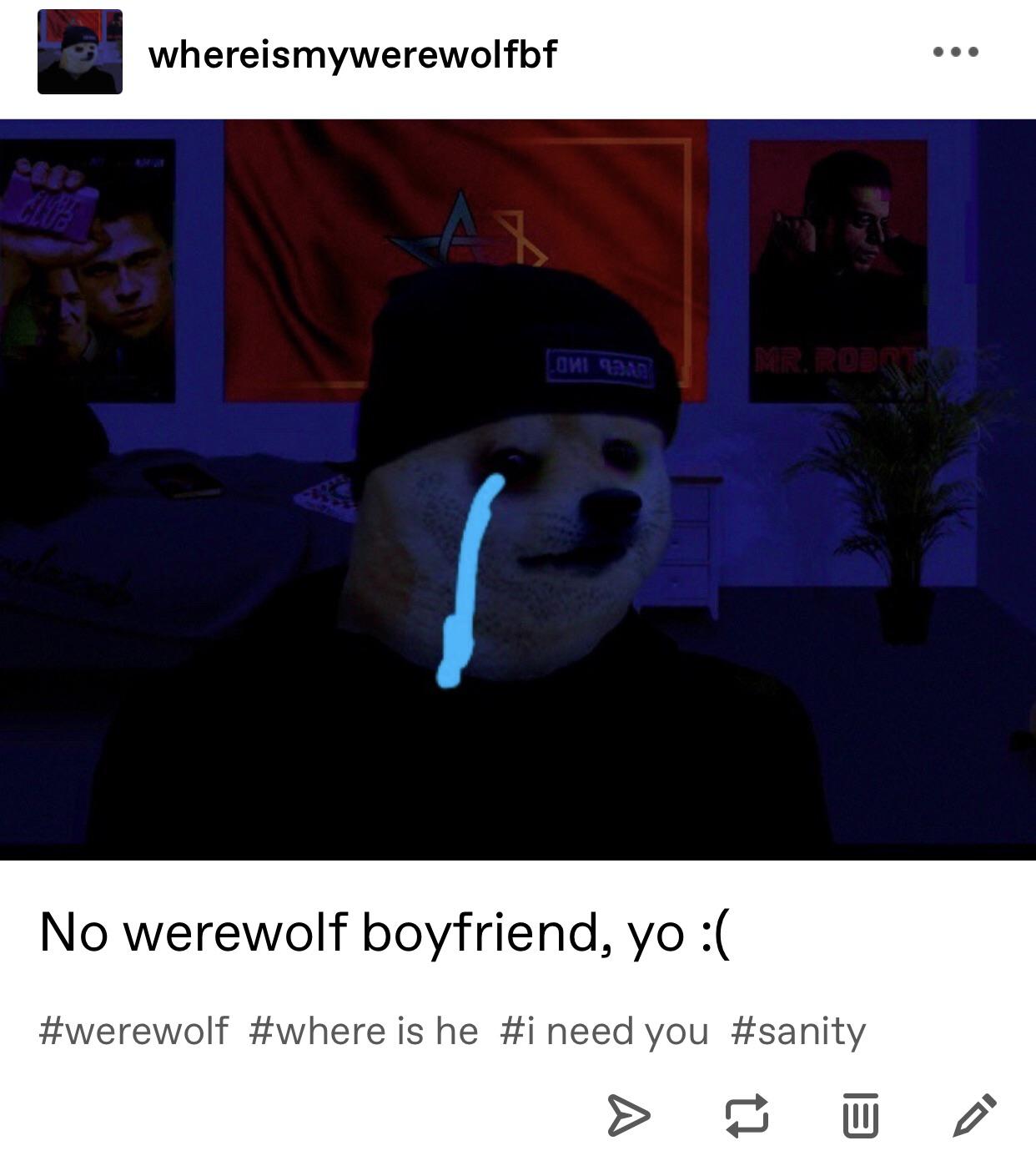 Werewolf_irl | Scrolller