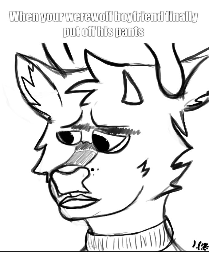 werewolf_irl | Scrolller