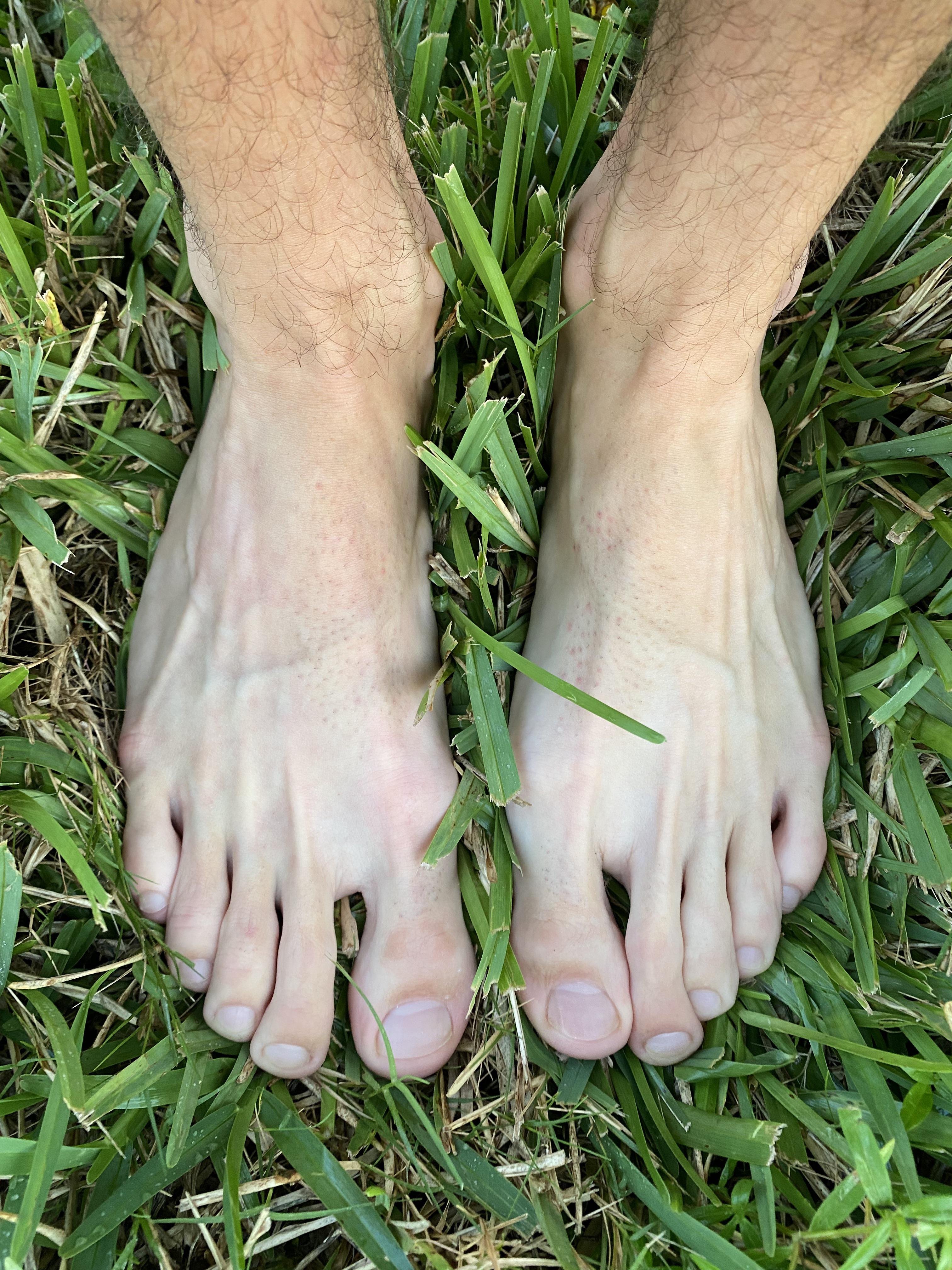 Wet grass | Scrolller