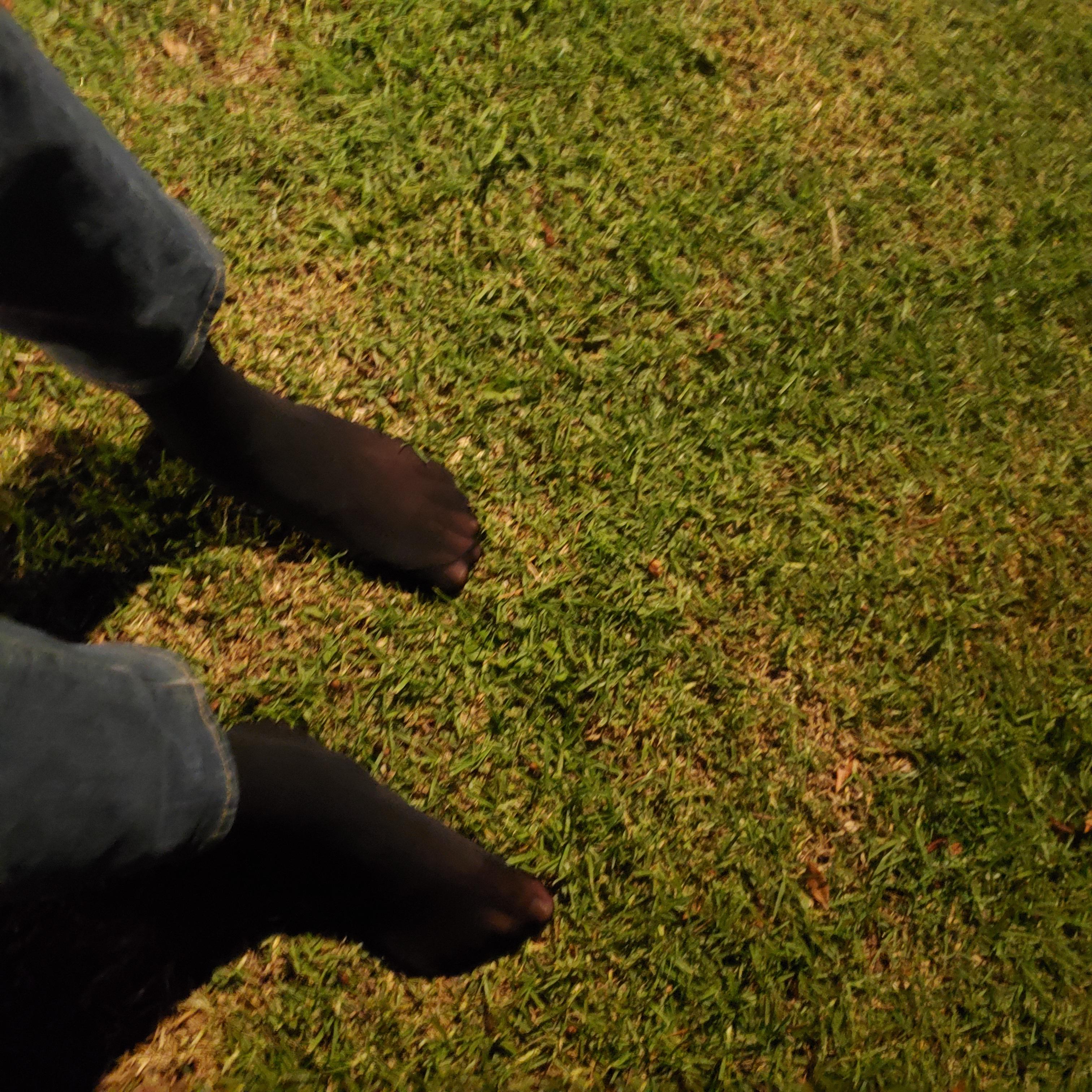 Wet grass | Scrolller