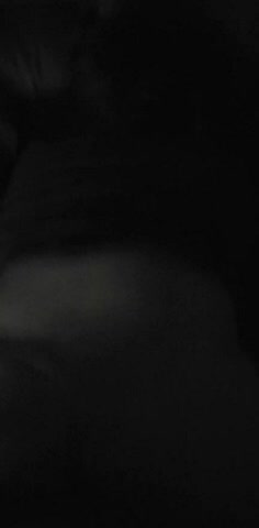 Whale Tail | Scrolller