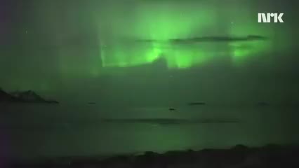 Whales swimming under the Northern lights | Scrolller