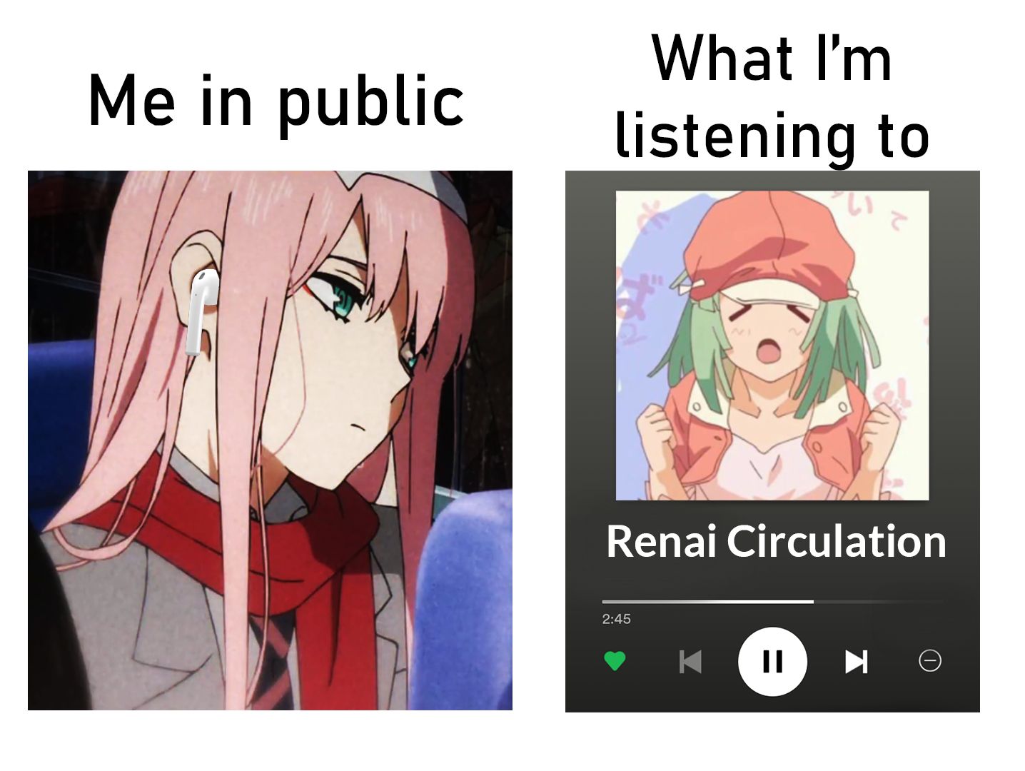 What a banger | Scrolller