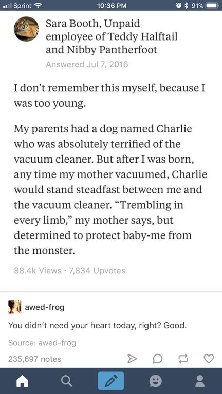 What a good boy | Scrolller