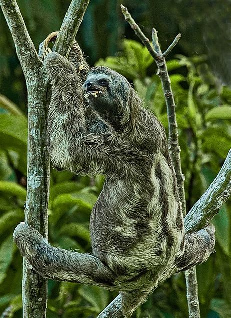 what a hot mess | Scrolller