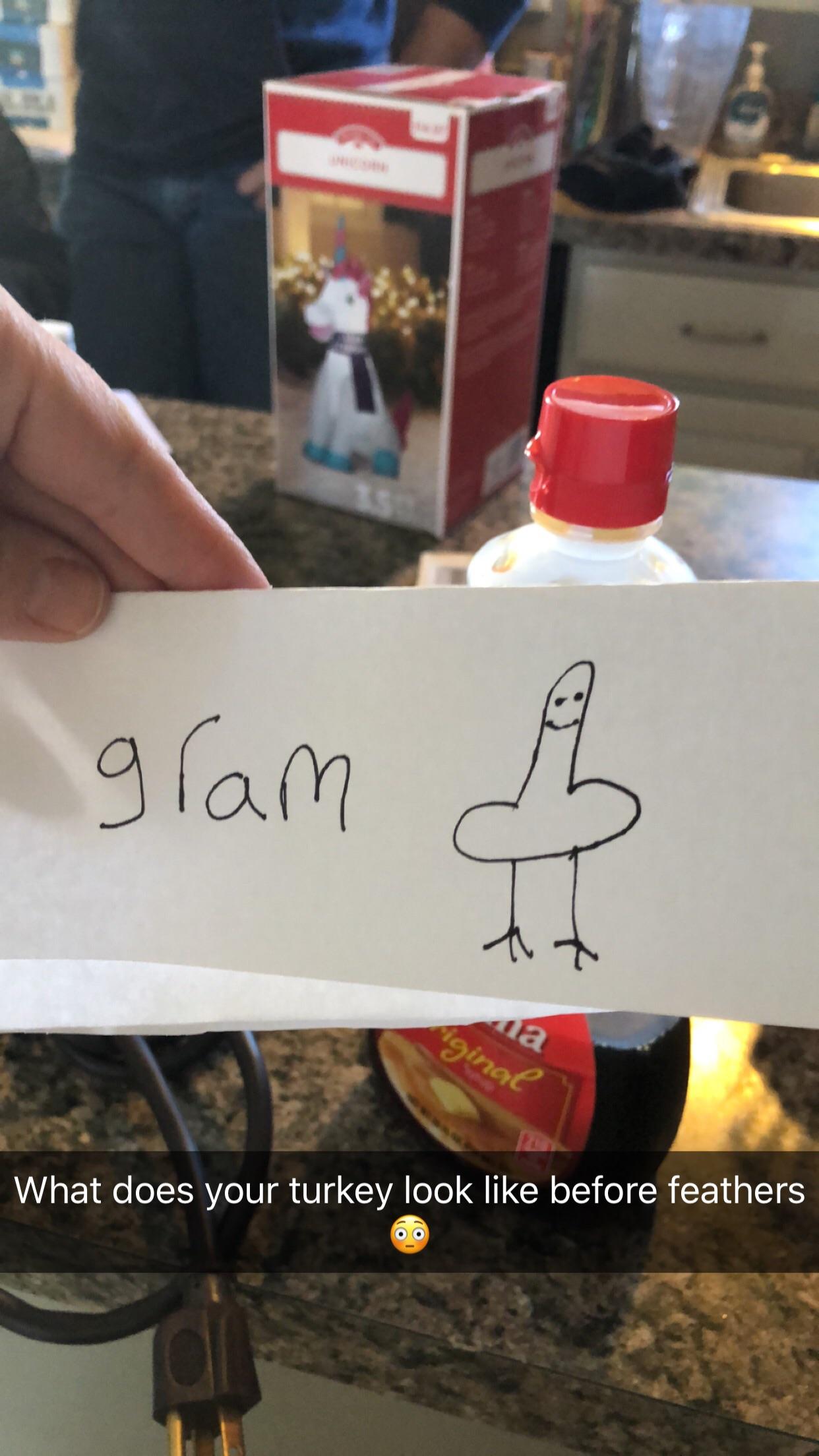 What a turkey looks like without feathers | Scrolller