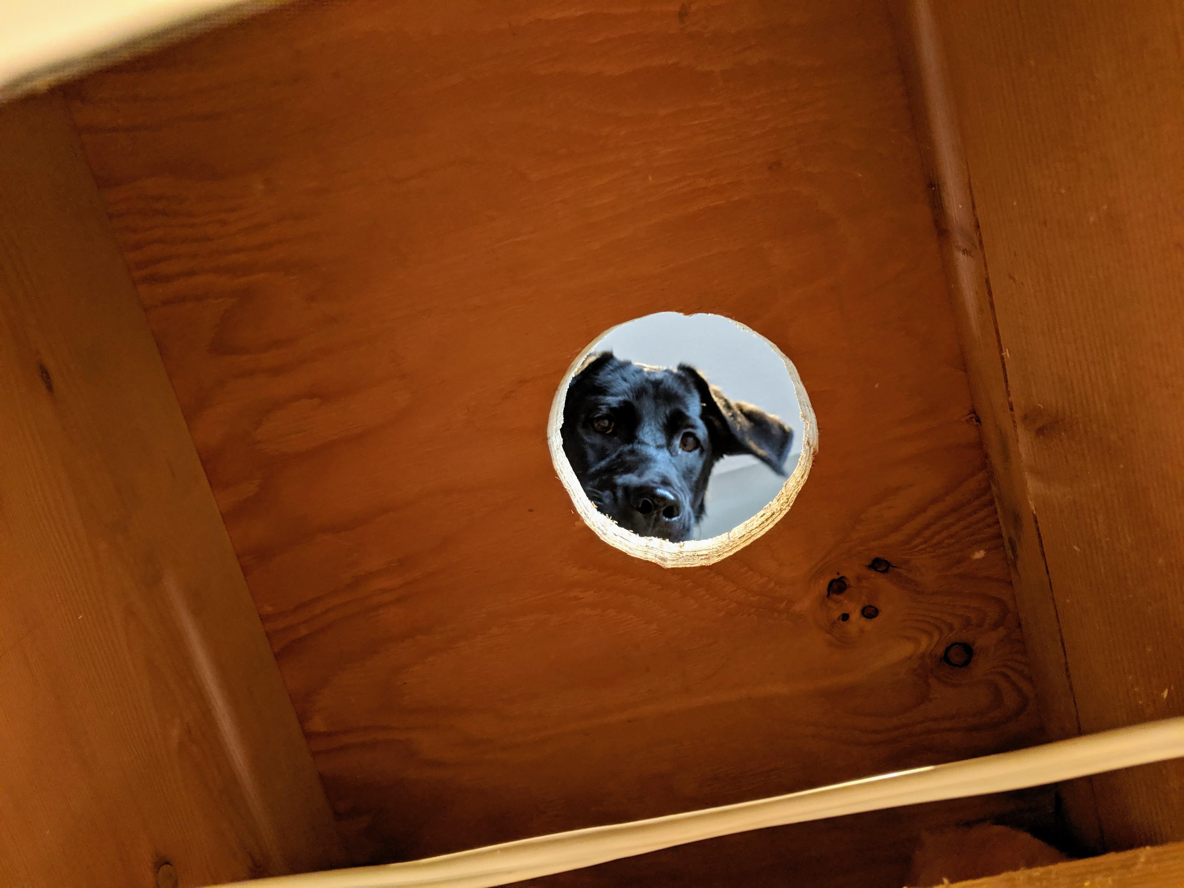 What are you doing Dad? | Scrolller