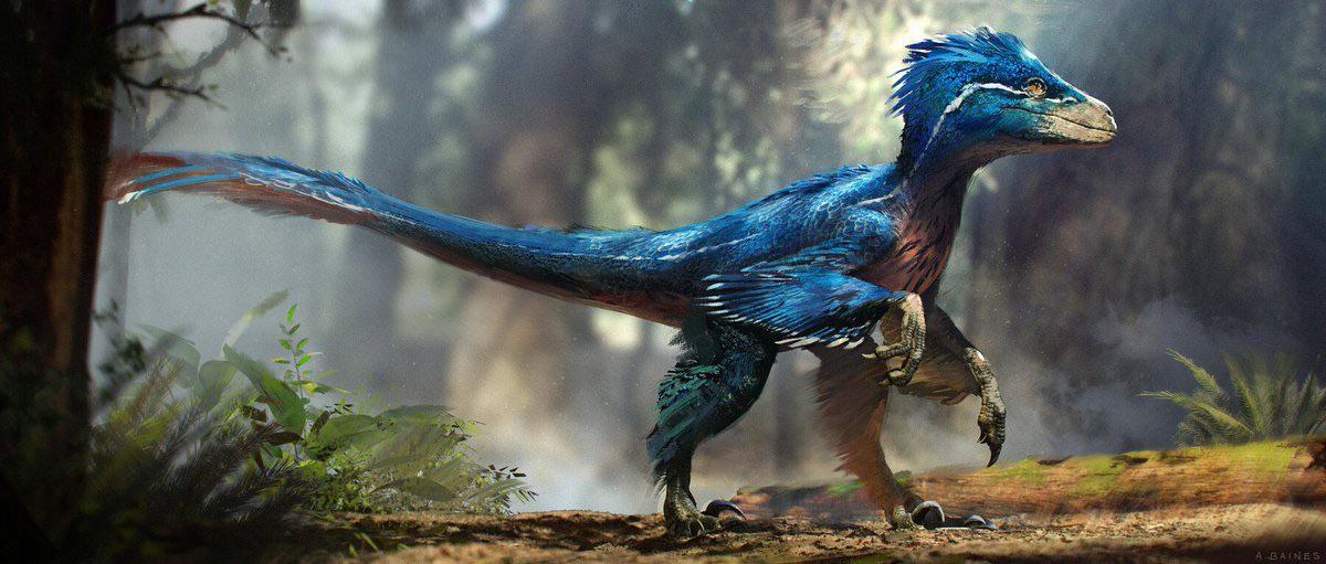What Blue May Have Looked Like With Feathers (Realistic Raptor) | Scrolller